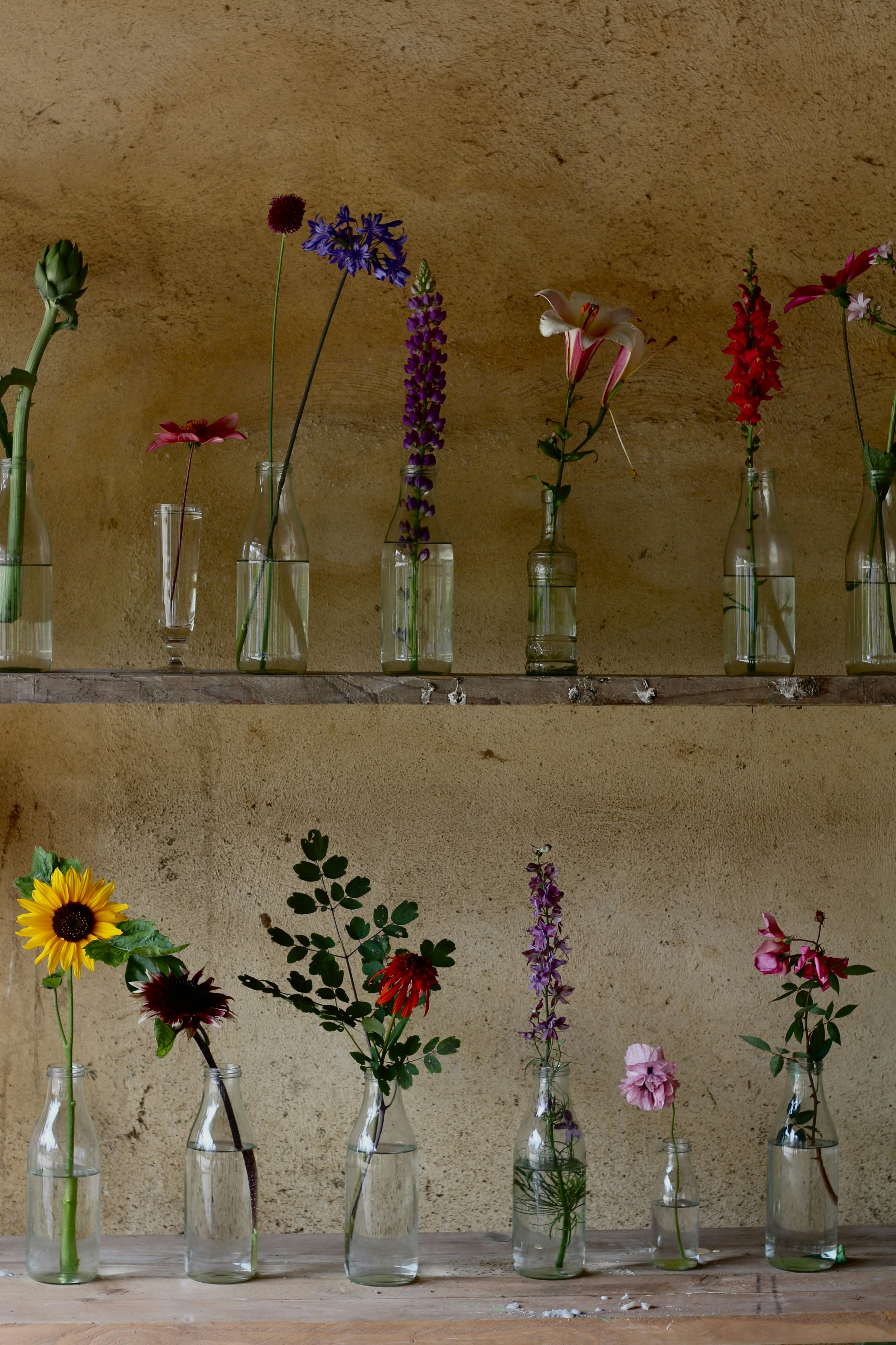 Vases on a Rustic Shelf: A Springstill Life of Bottled Blooms