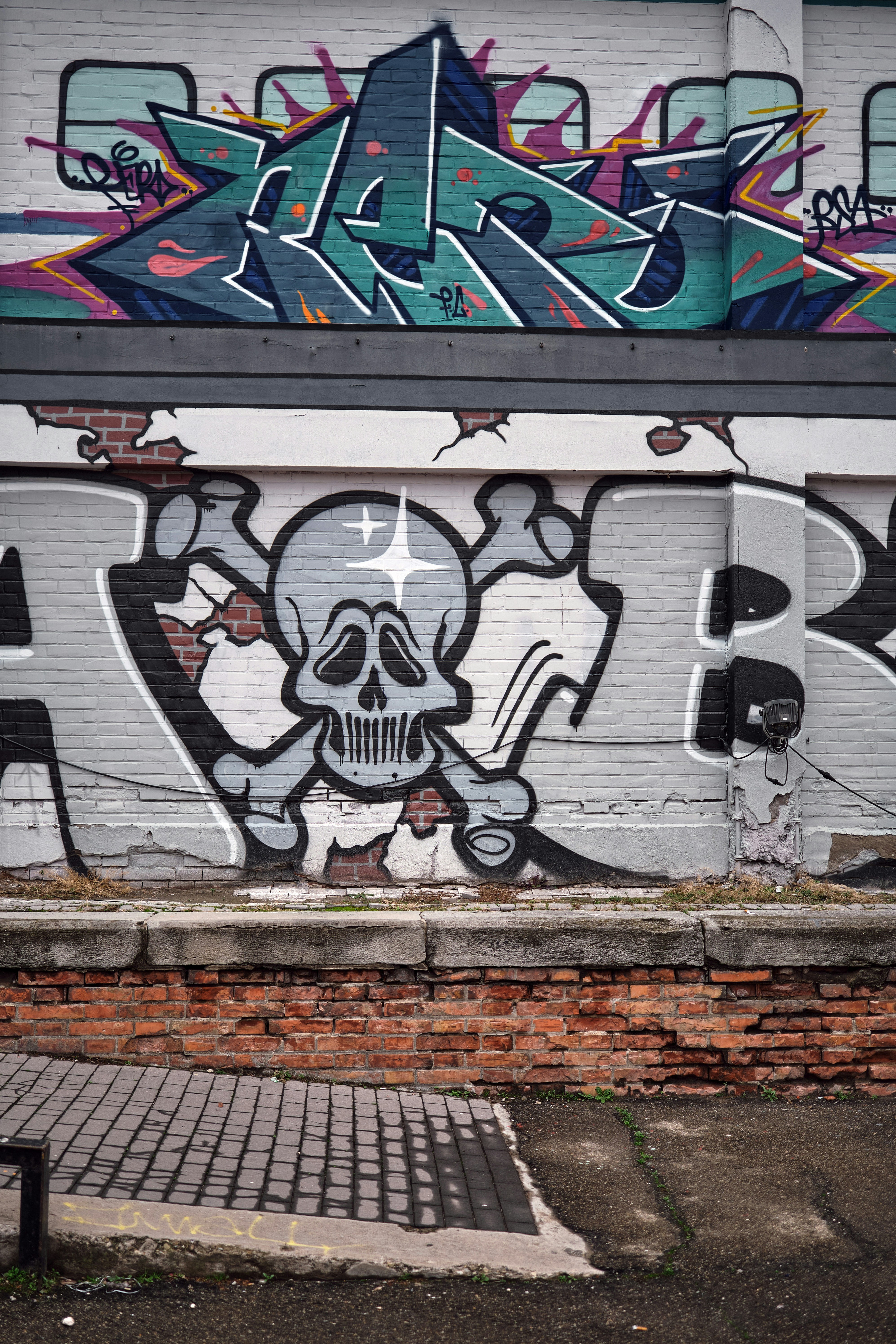Skull and Spray: Urban Graffiti Portrait on Crumbling Wall