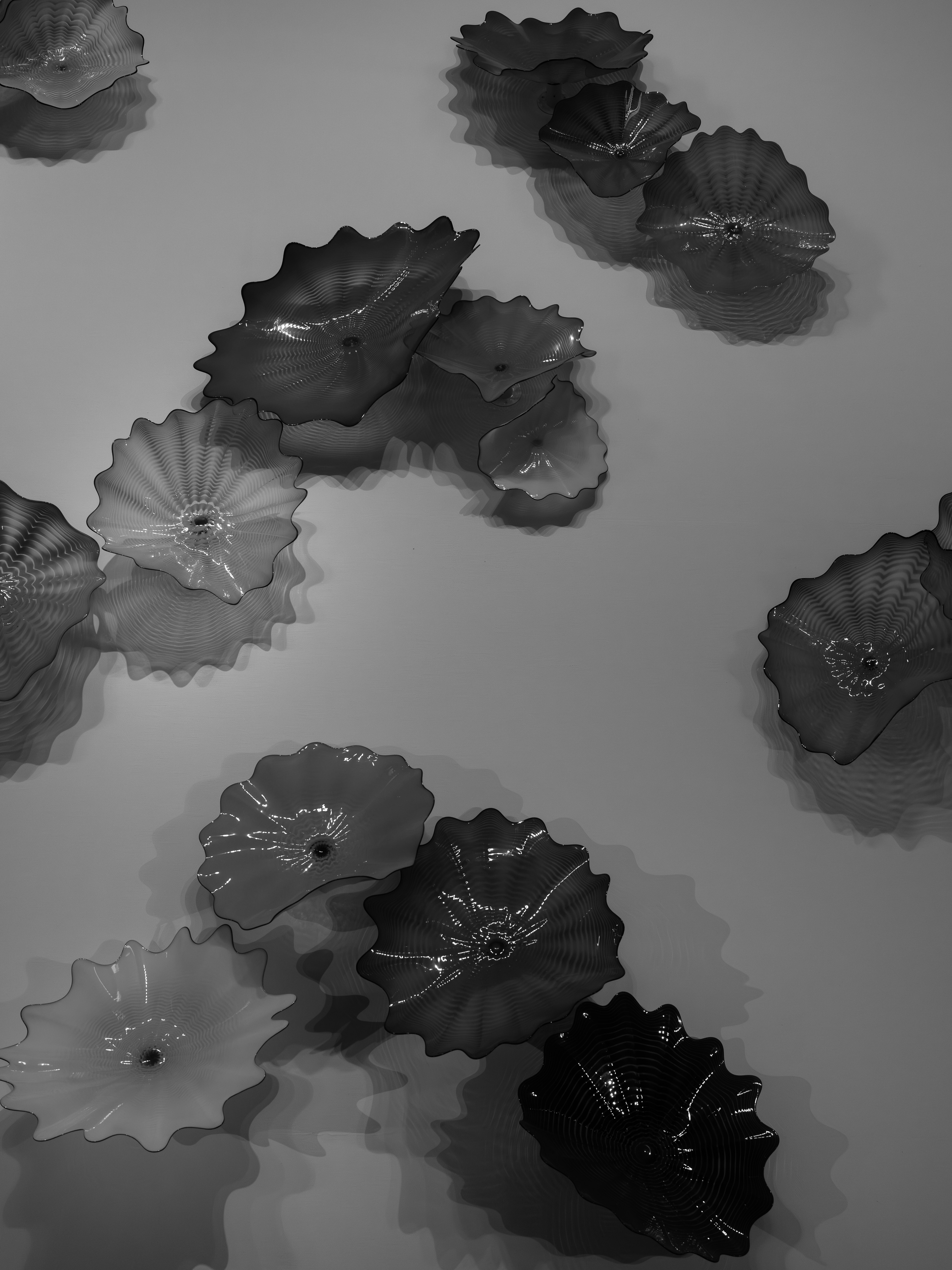Monochrome Petals: Floating Constellation