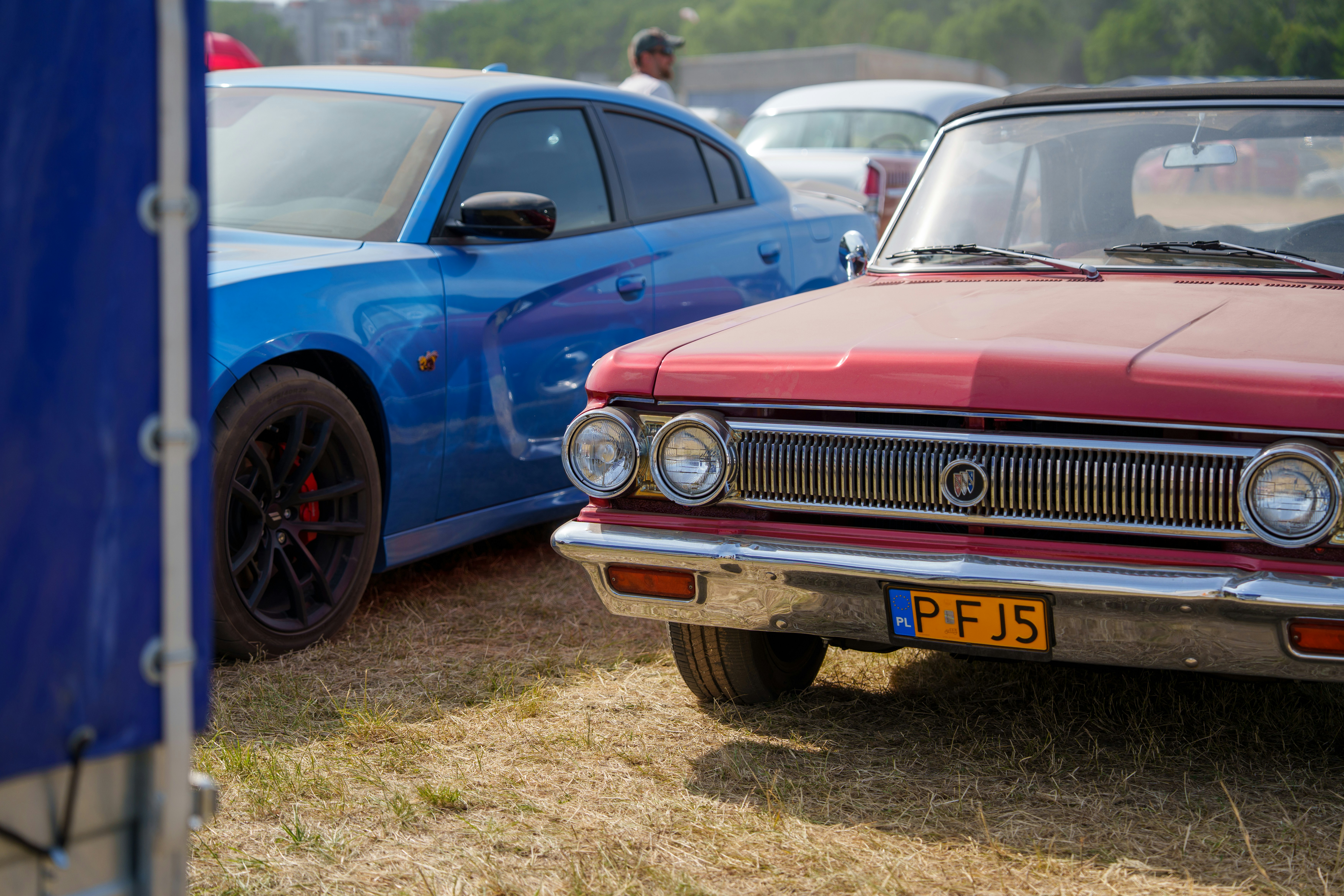 Between Chrome and Crimson: A Moment with Classic Car Lineup