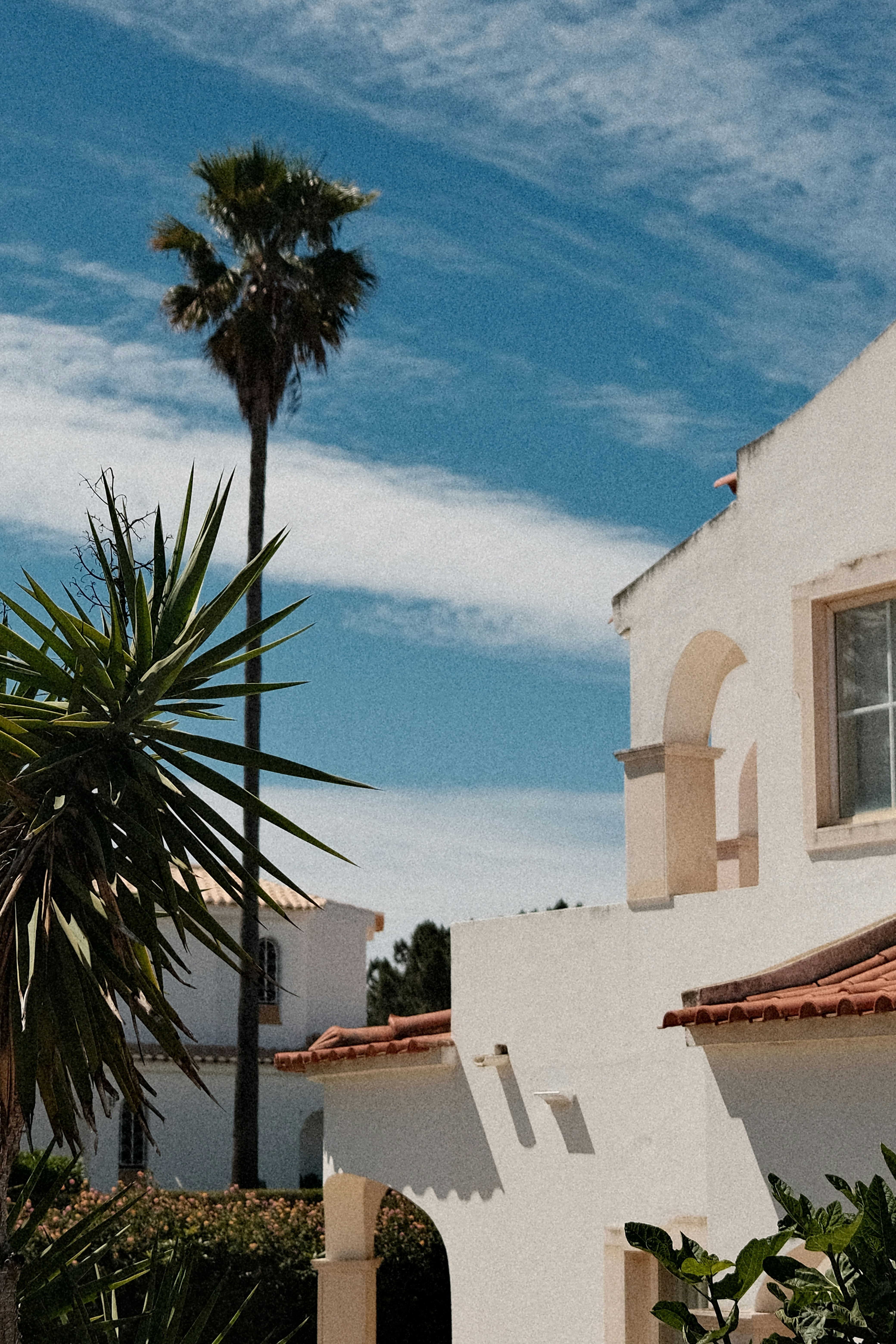 White villa and palm silhouette under a bright Spanish sky