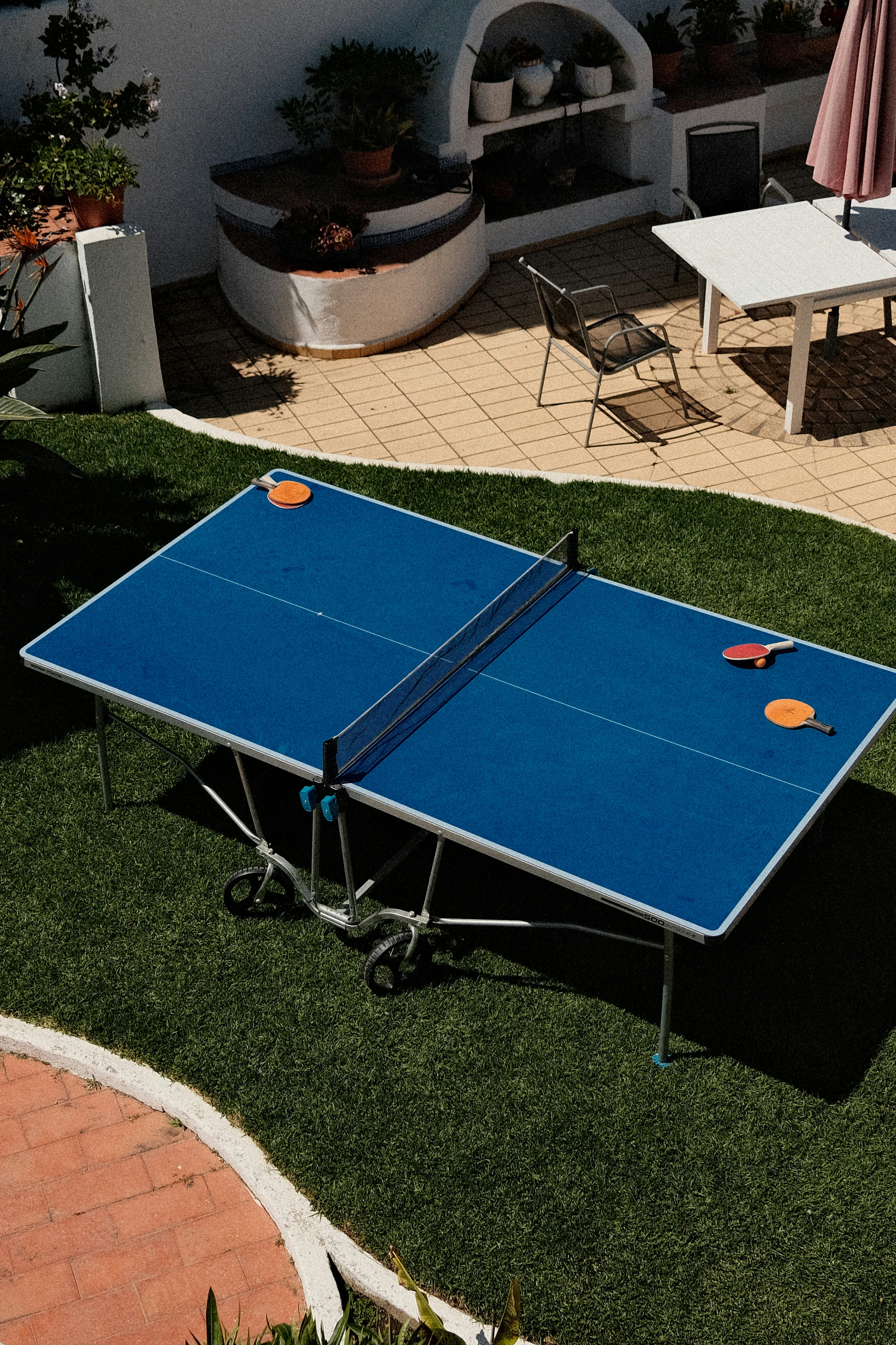 Blue Table Tennis Oasis in a Sunny Backyard