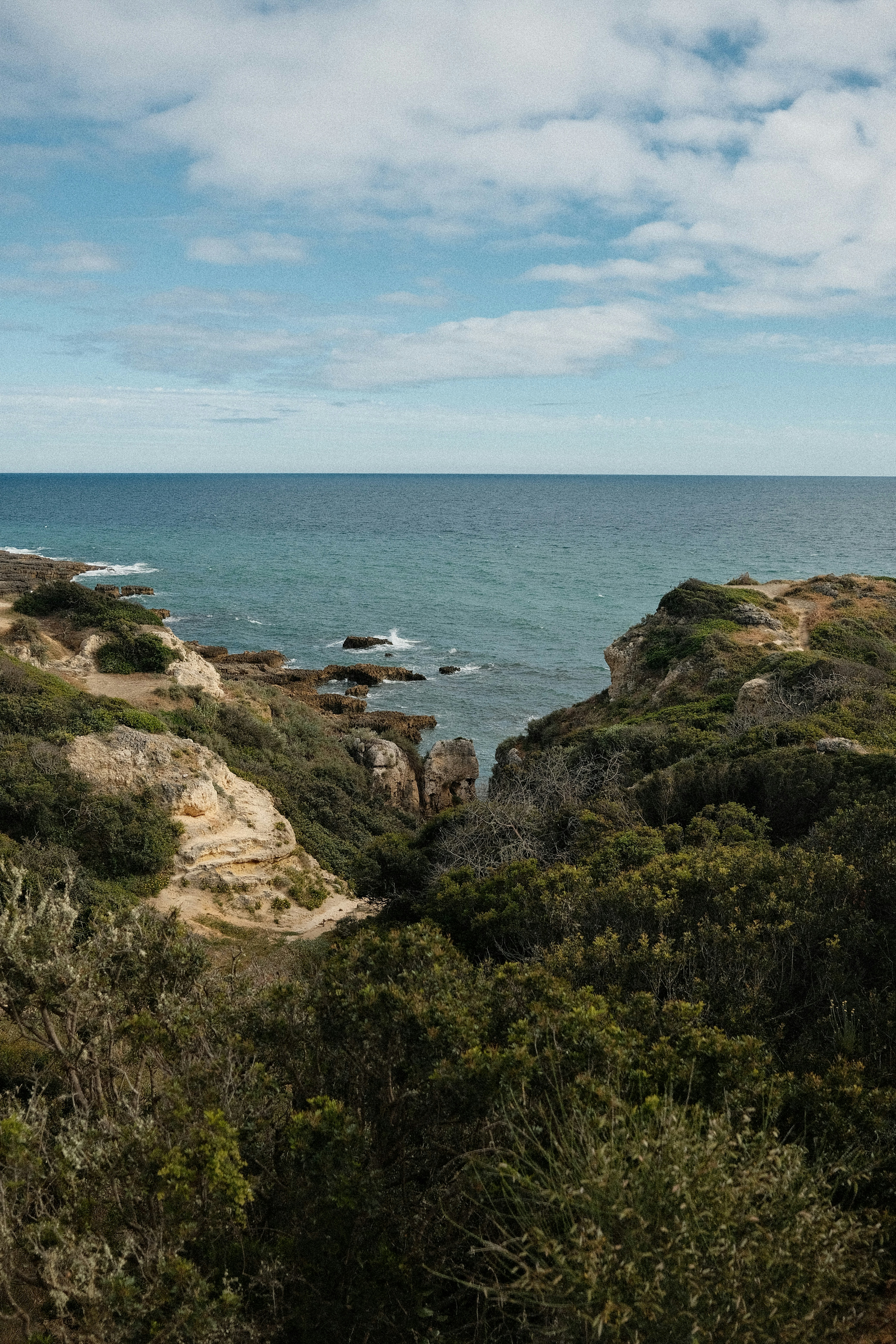 Coastal Cliffscape: Ocean Meets Scrub and Stone