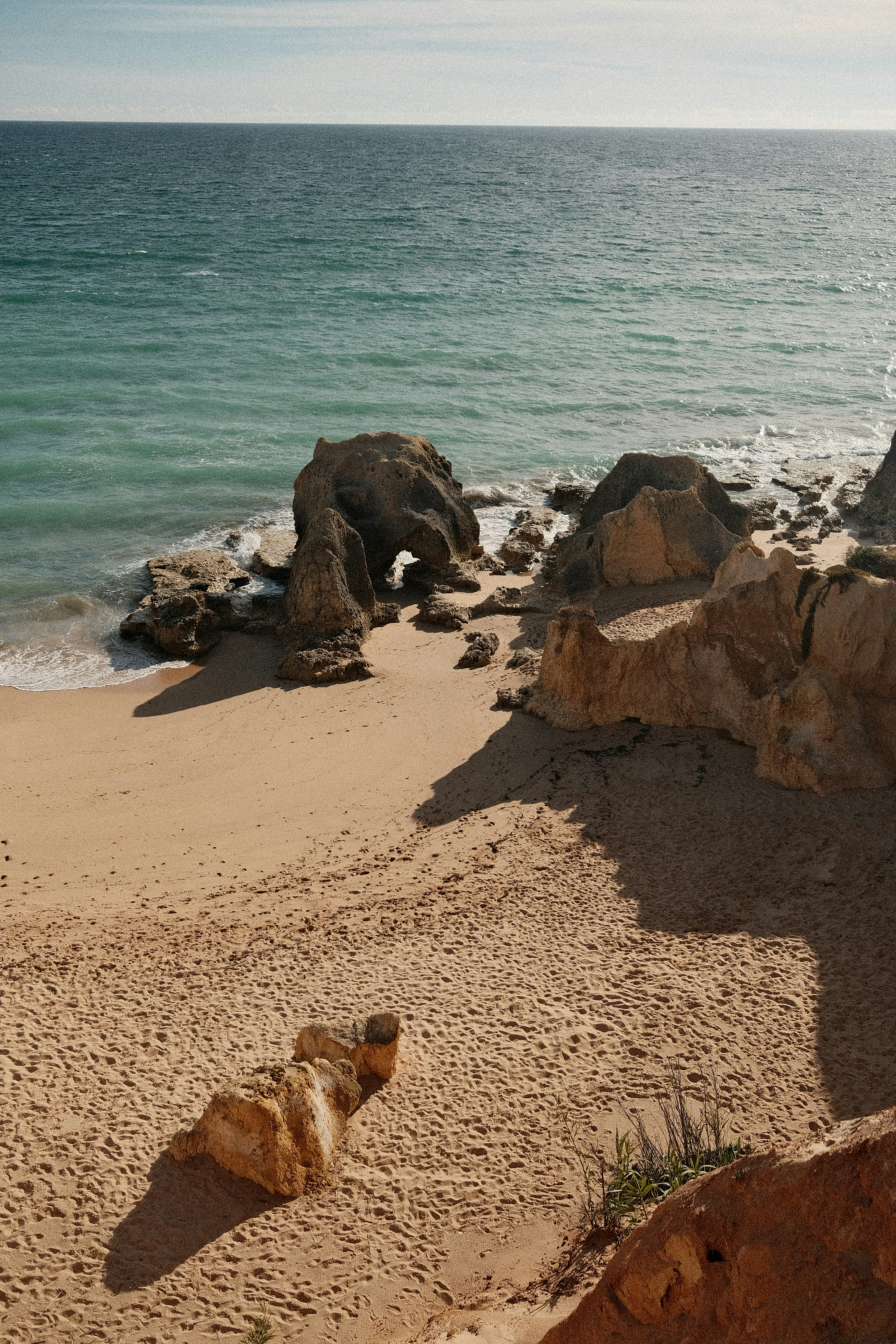 Coastal Pines and Weathered Rocks at Sunset Beach