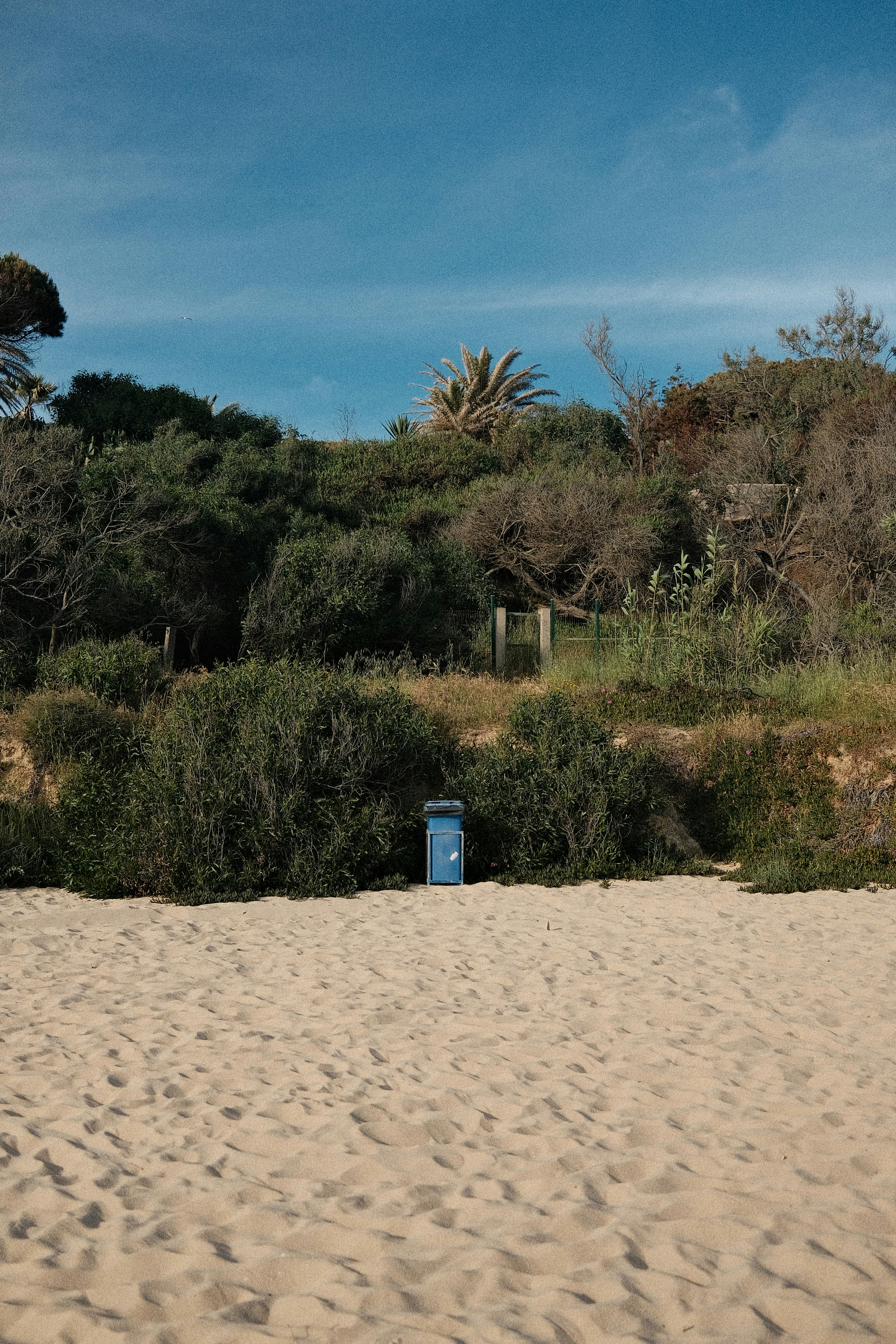 Blue Trash Can on a Quiet Beach Backdrop