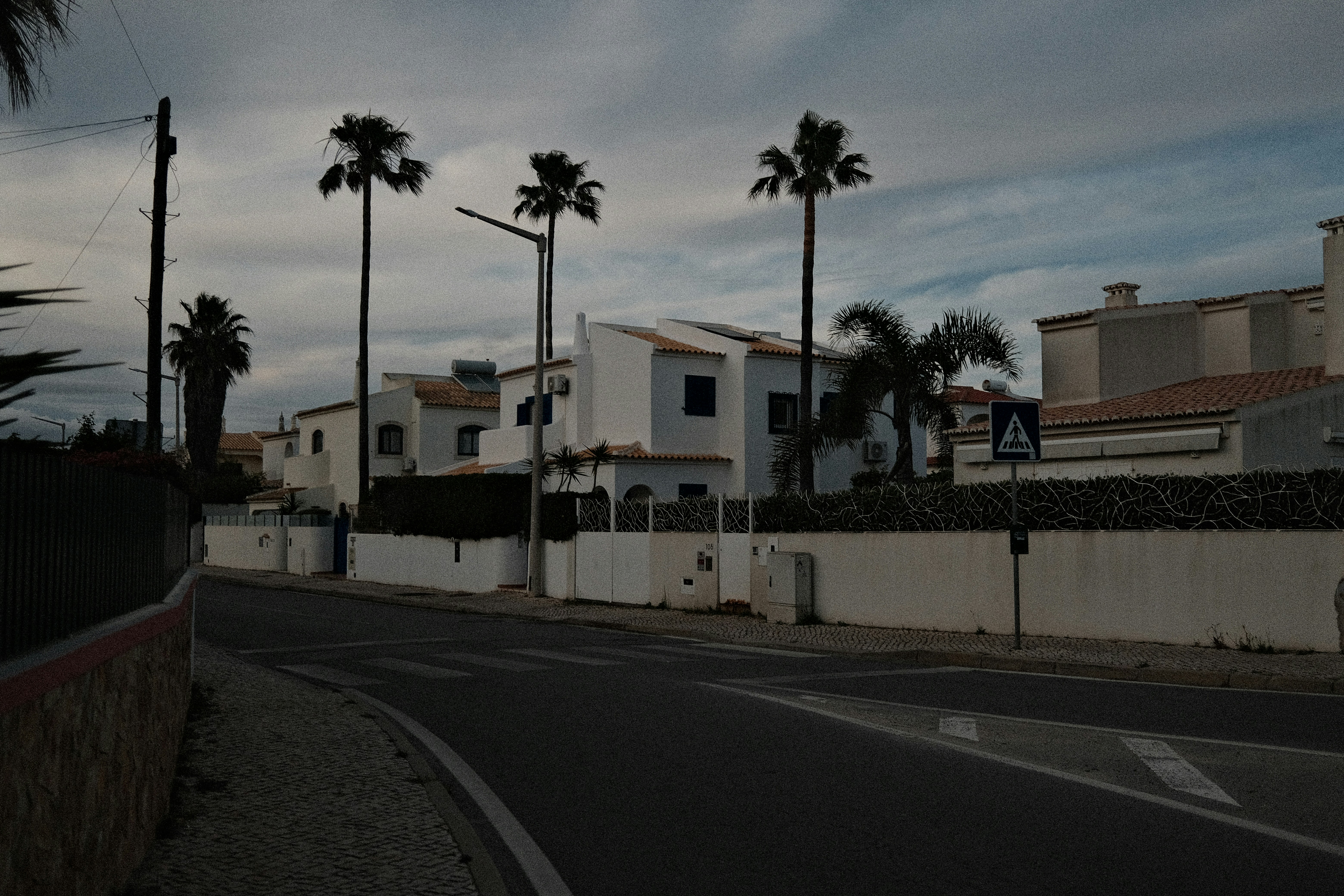 Palm-lined street under a quiet coastal sky
