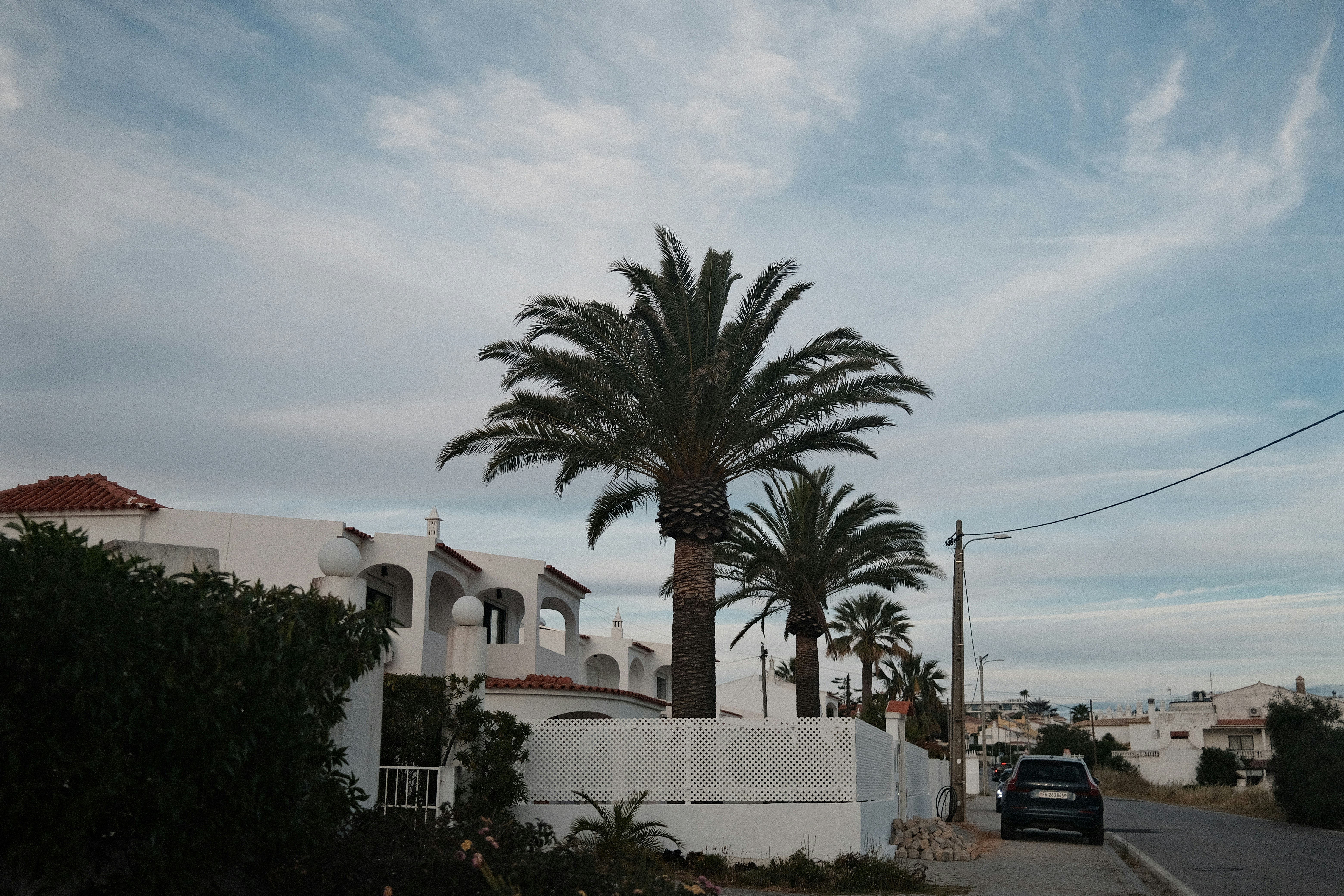 Palm Retrofit: A Quiet Street Vase of White Walls and Skies