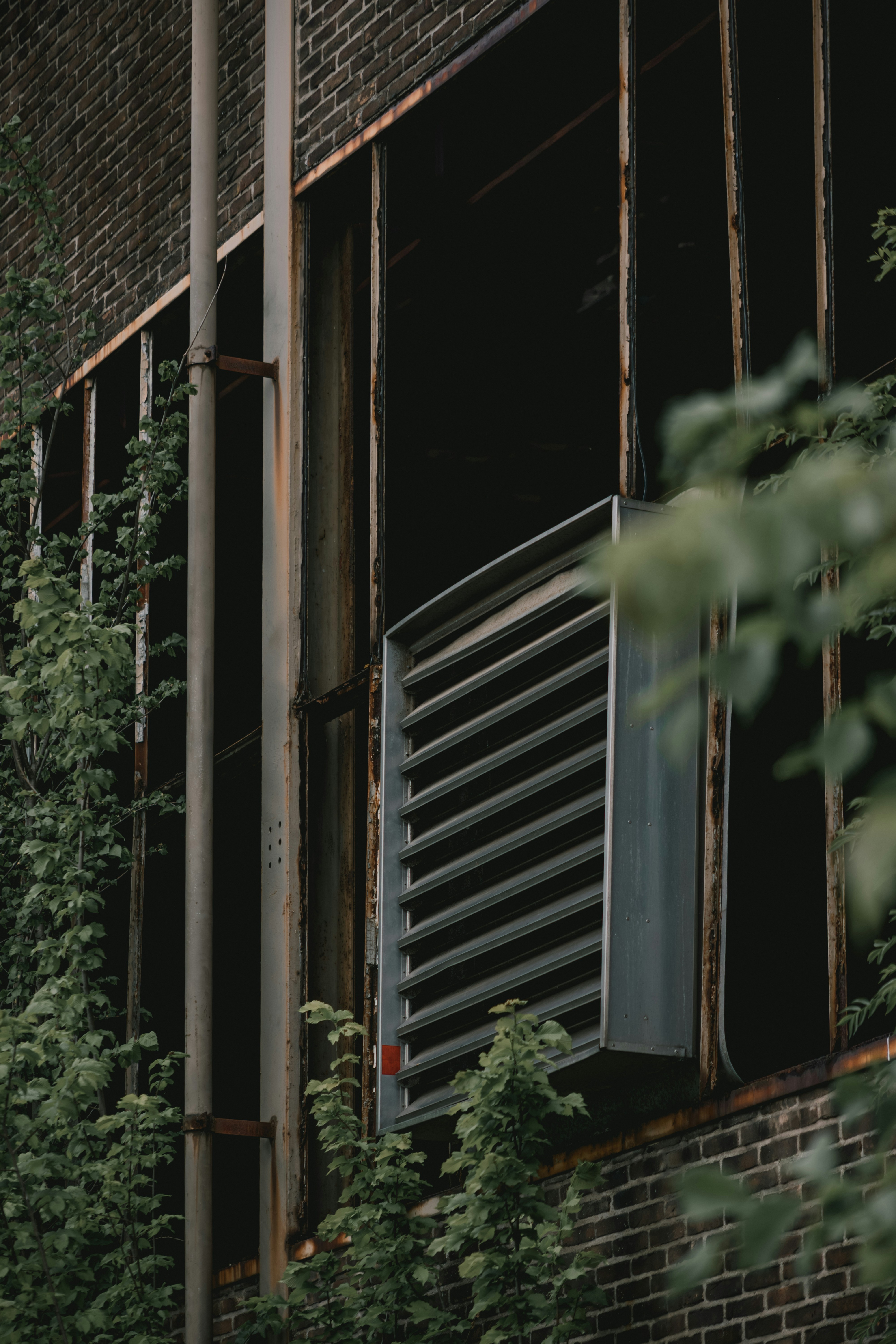 Overgrown Vent: An Abandoned Brick Facade Grown Quiet with Greenery