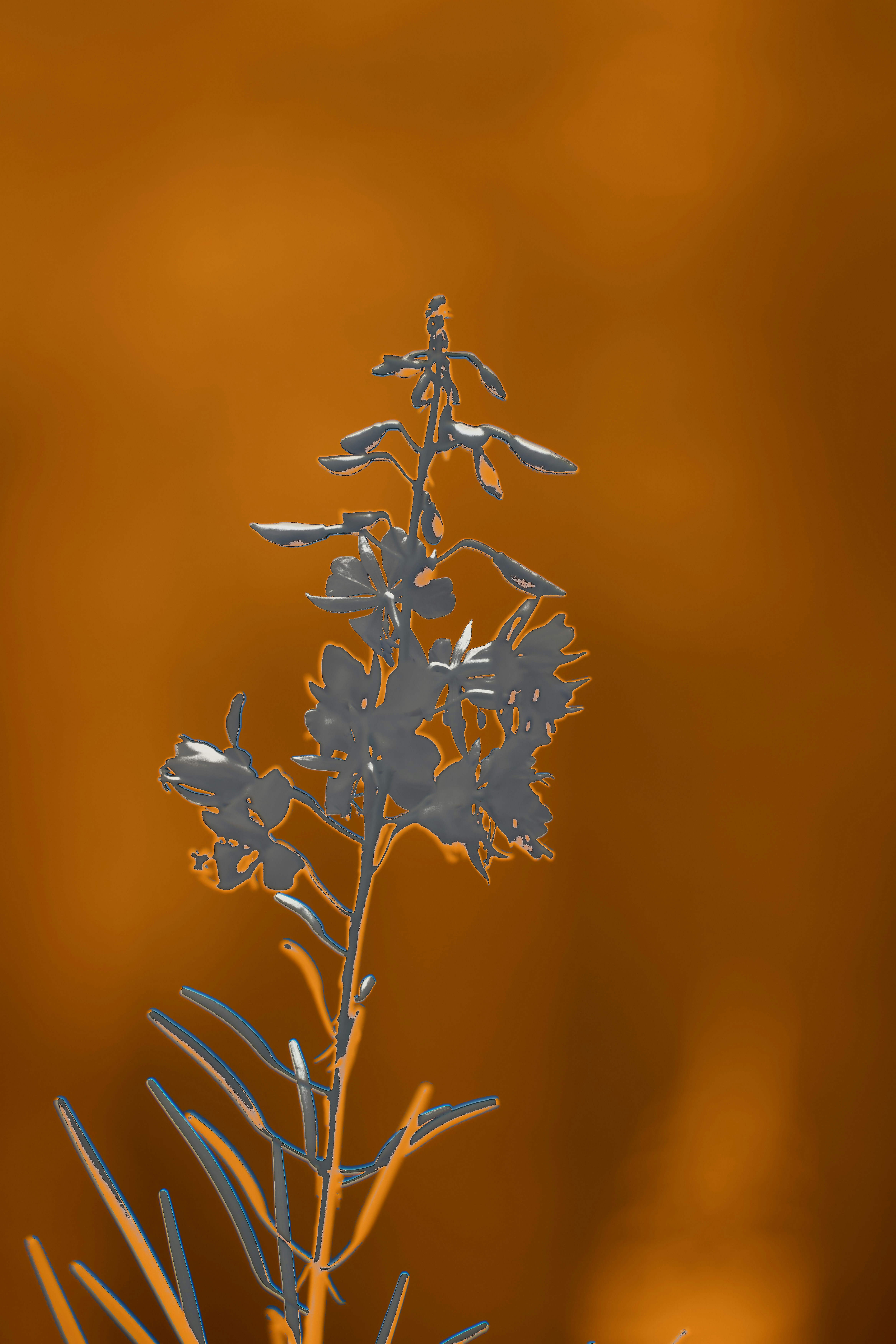 Vertical Sprig Against Amber Dreamscape