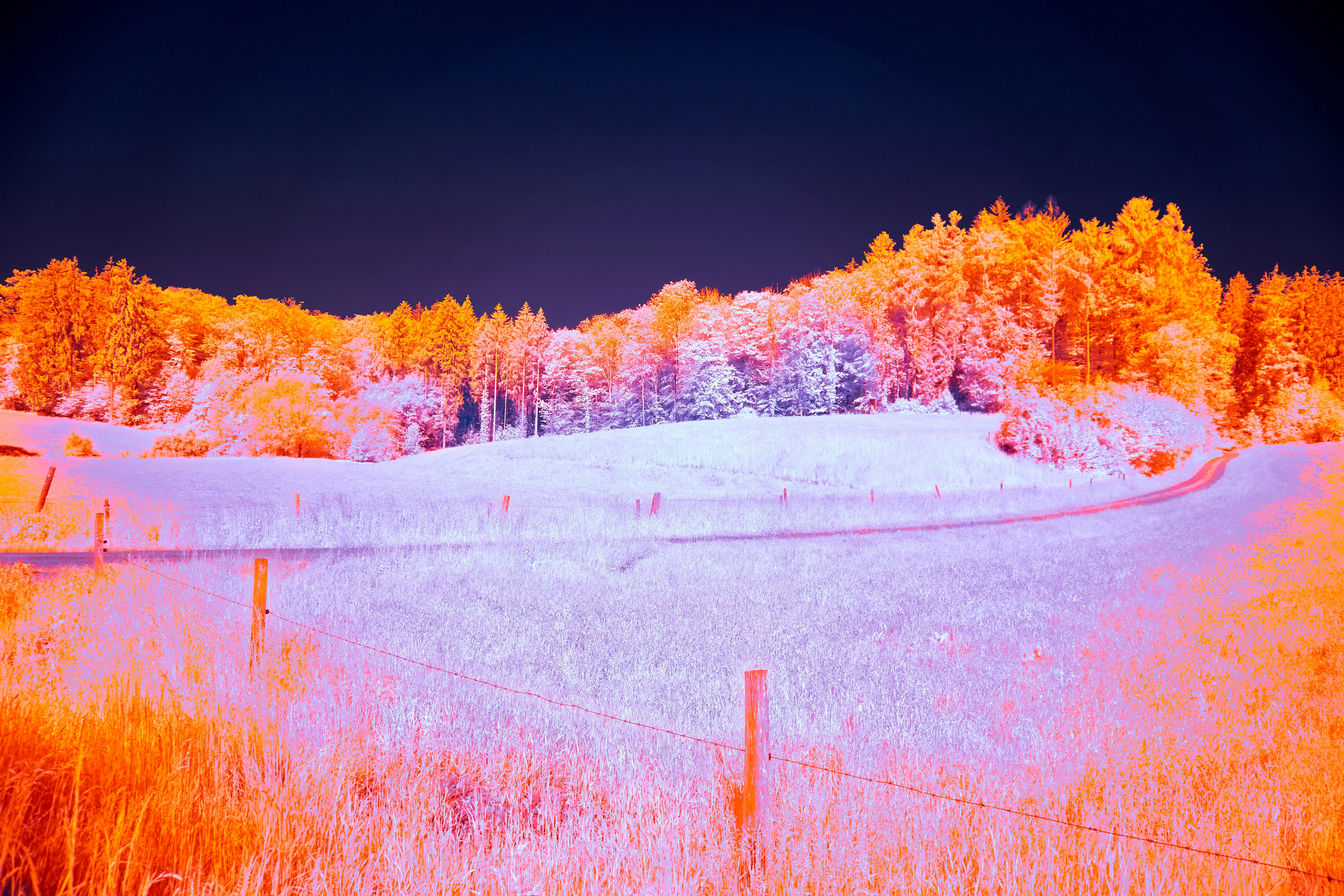 Sunlit Crest: A Winter Field Under a Velvet Dusk