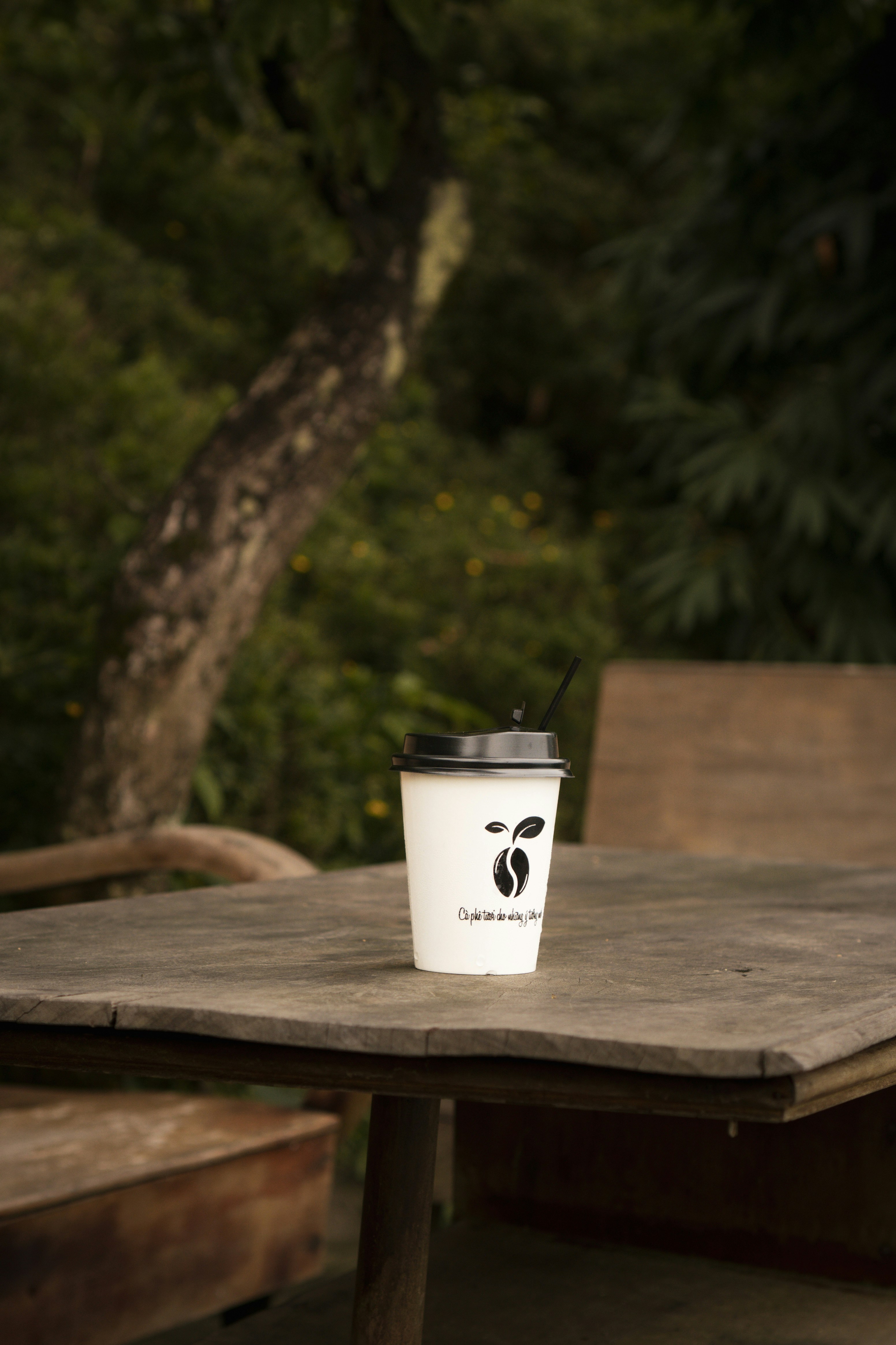 Cafe takeaway on a rustic wooden table in a quiet outdoor setting