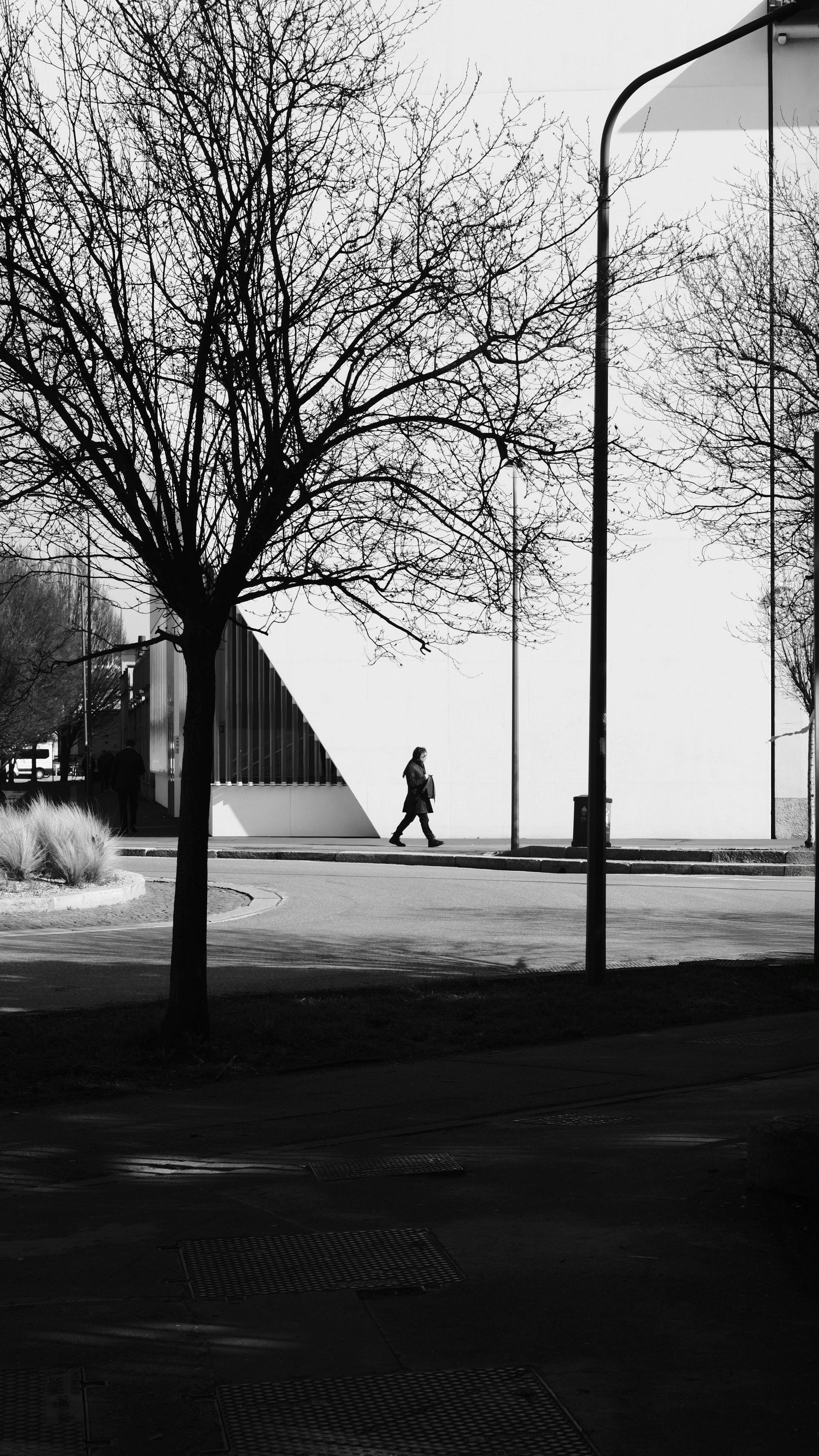 Solitary Walk by the Geometric Facade