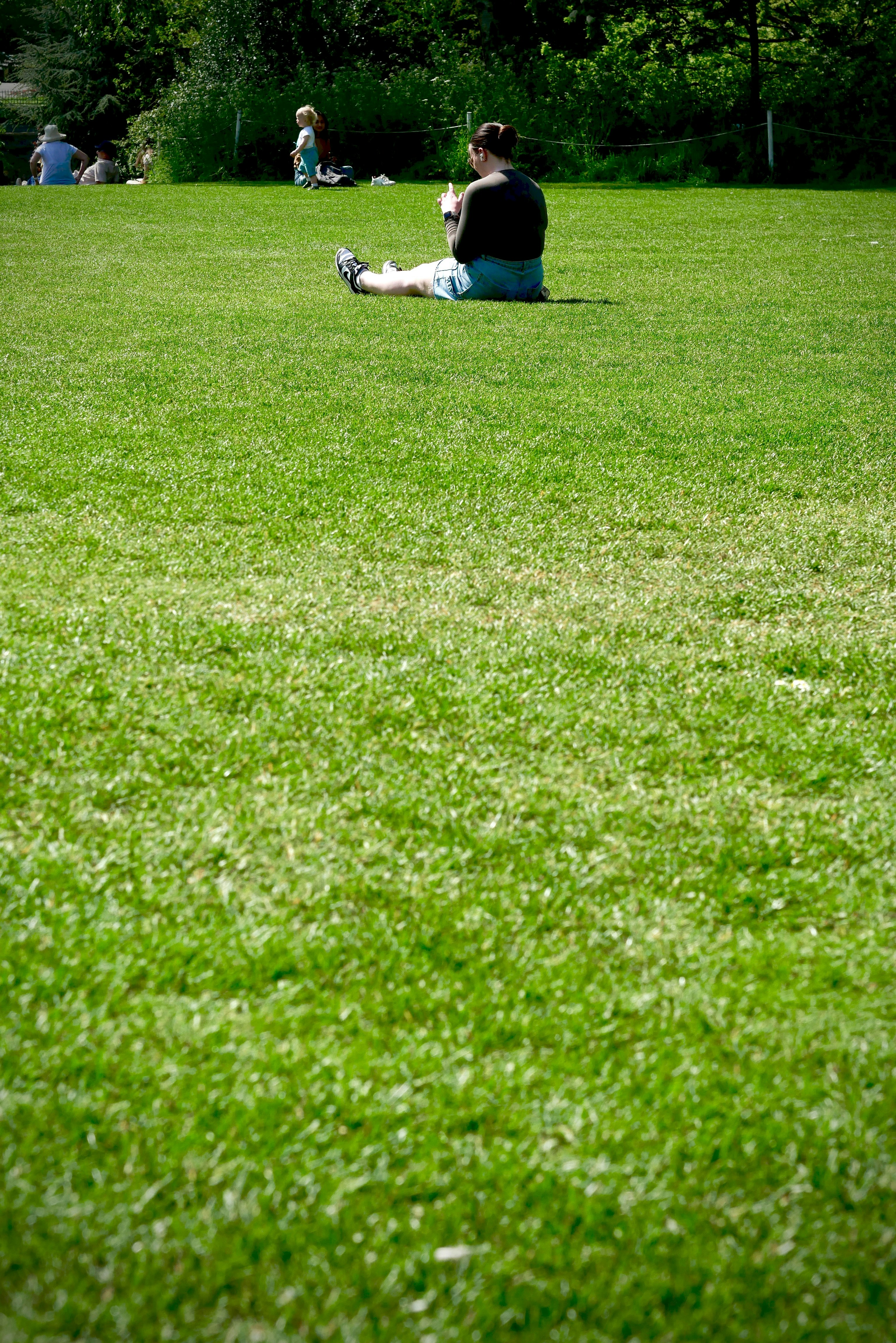 Solitary respite on the sunlit park lawn