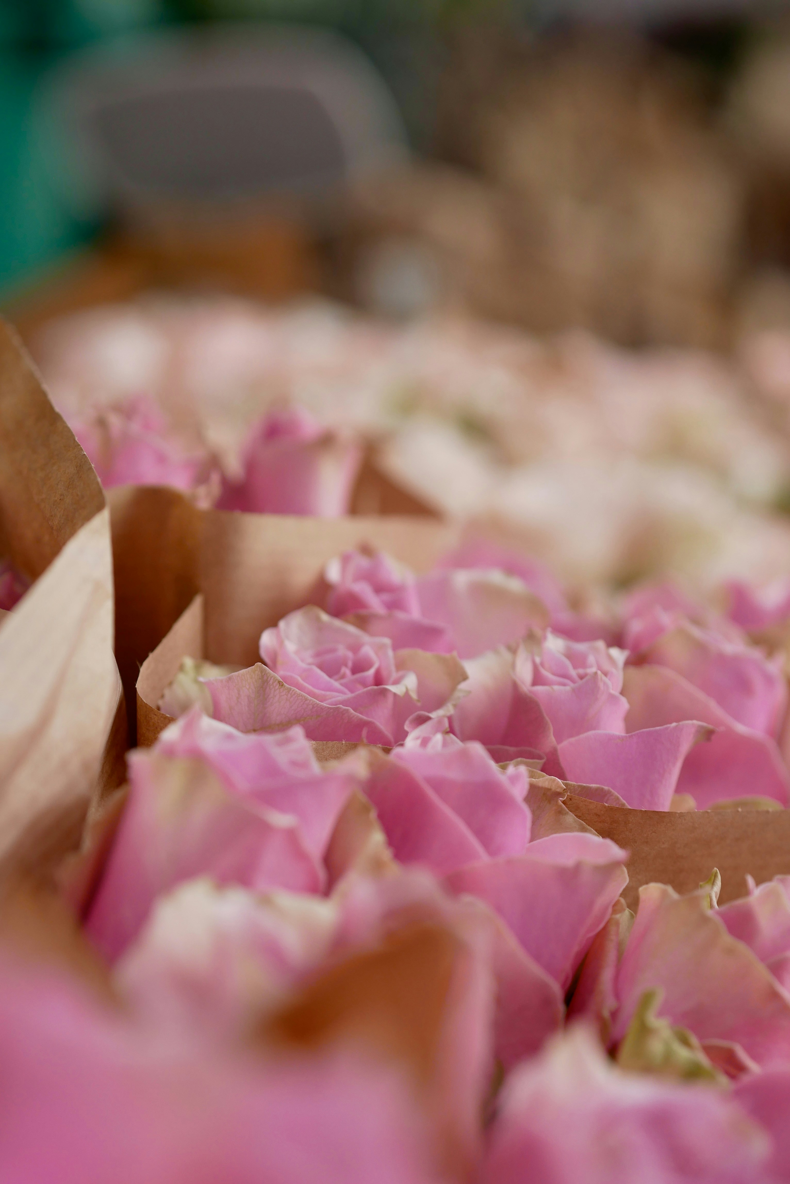 Bouquets of Soft Rose: A Close-Pressed Field of Pink Blossoms