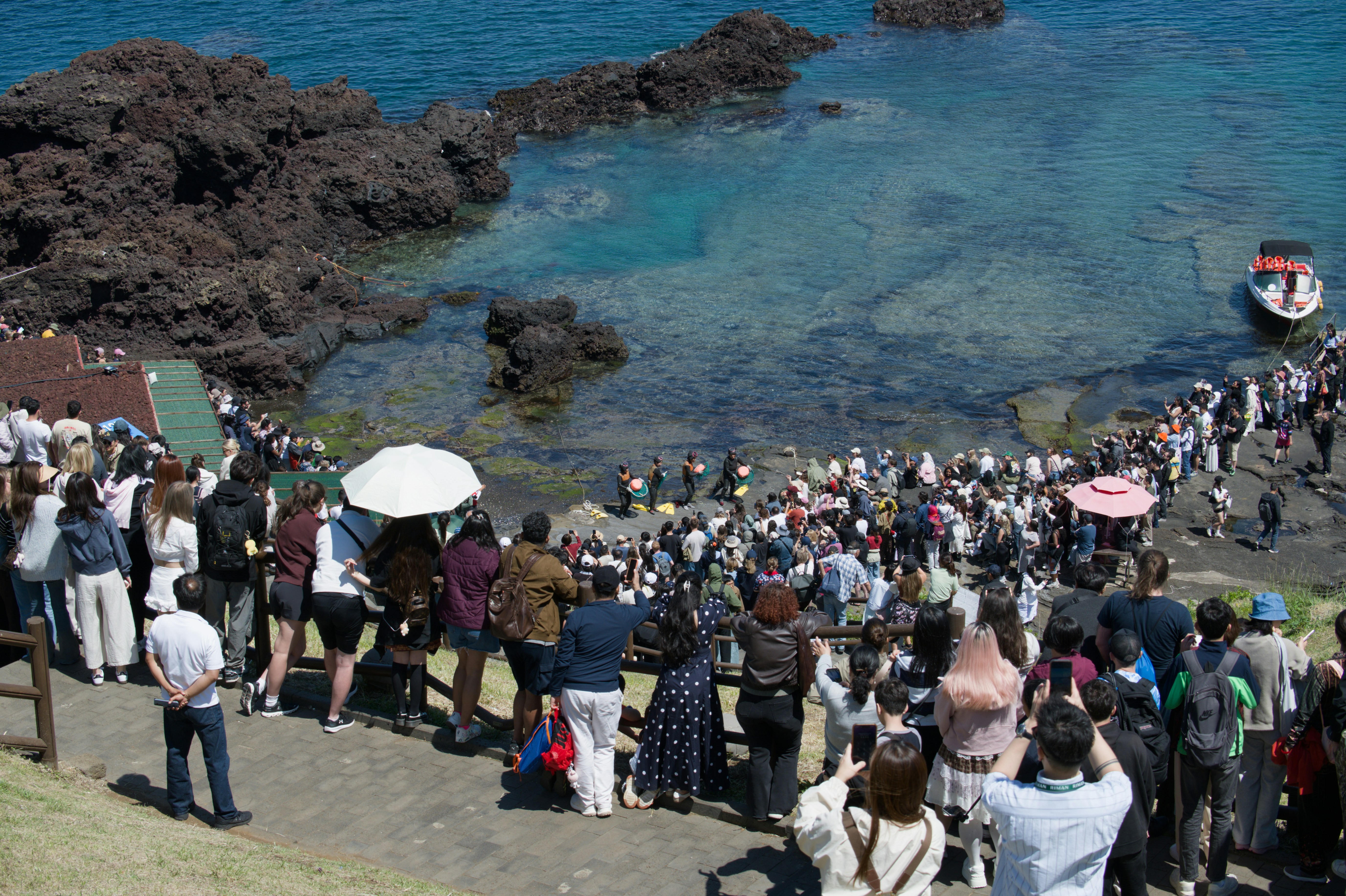 A Salt-Sprayed Chorus: Crowd Gathers at the Cove