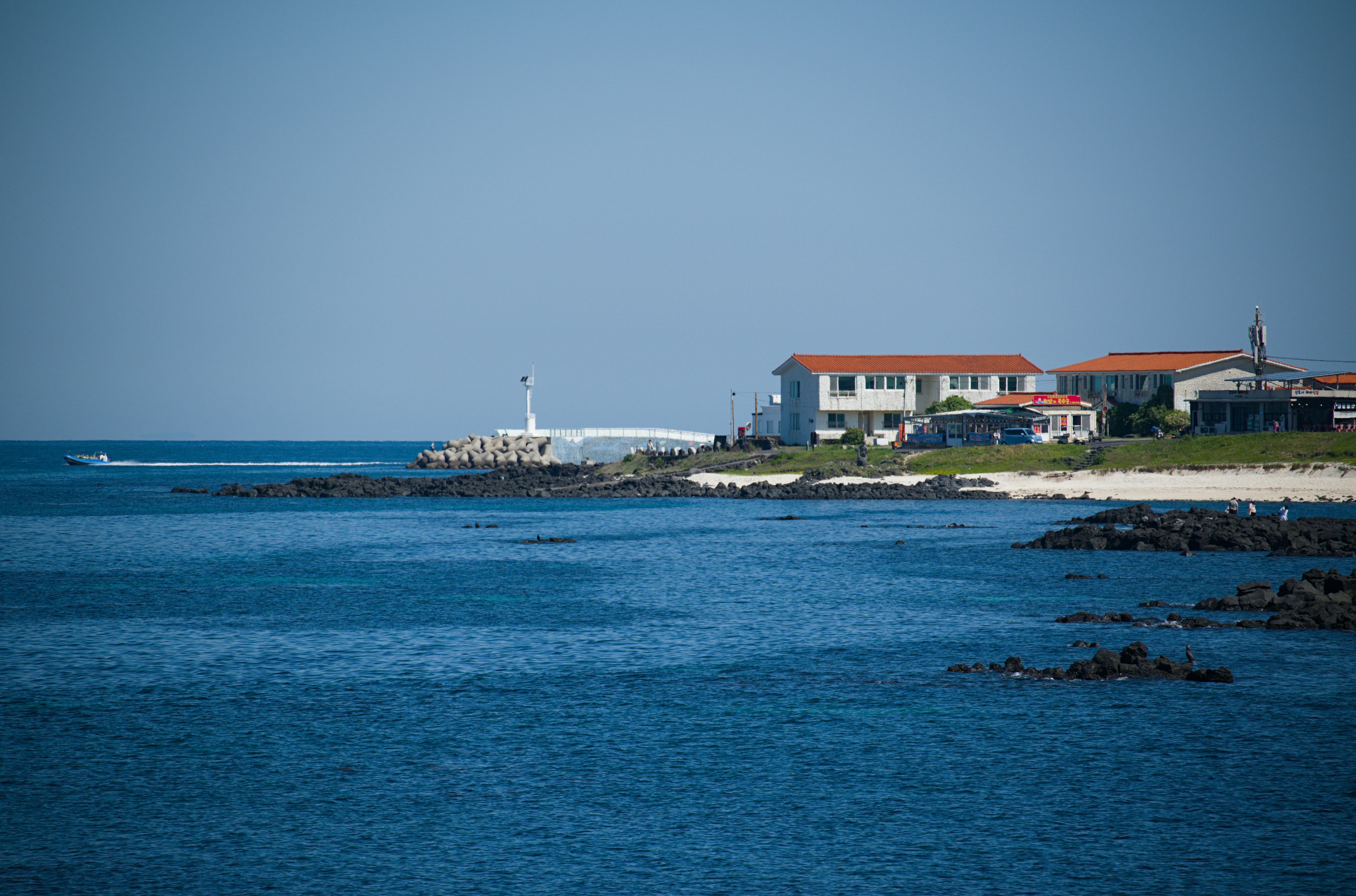 Coastal Harbor Vista with Red-roofed Buildings