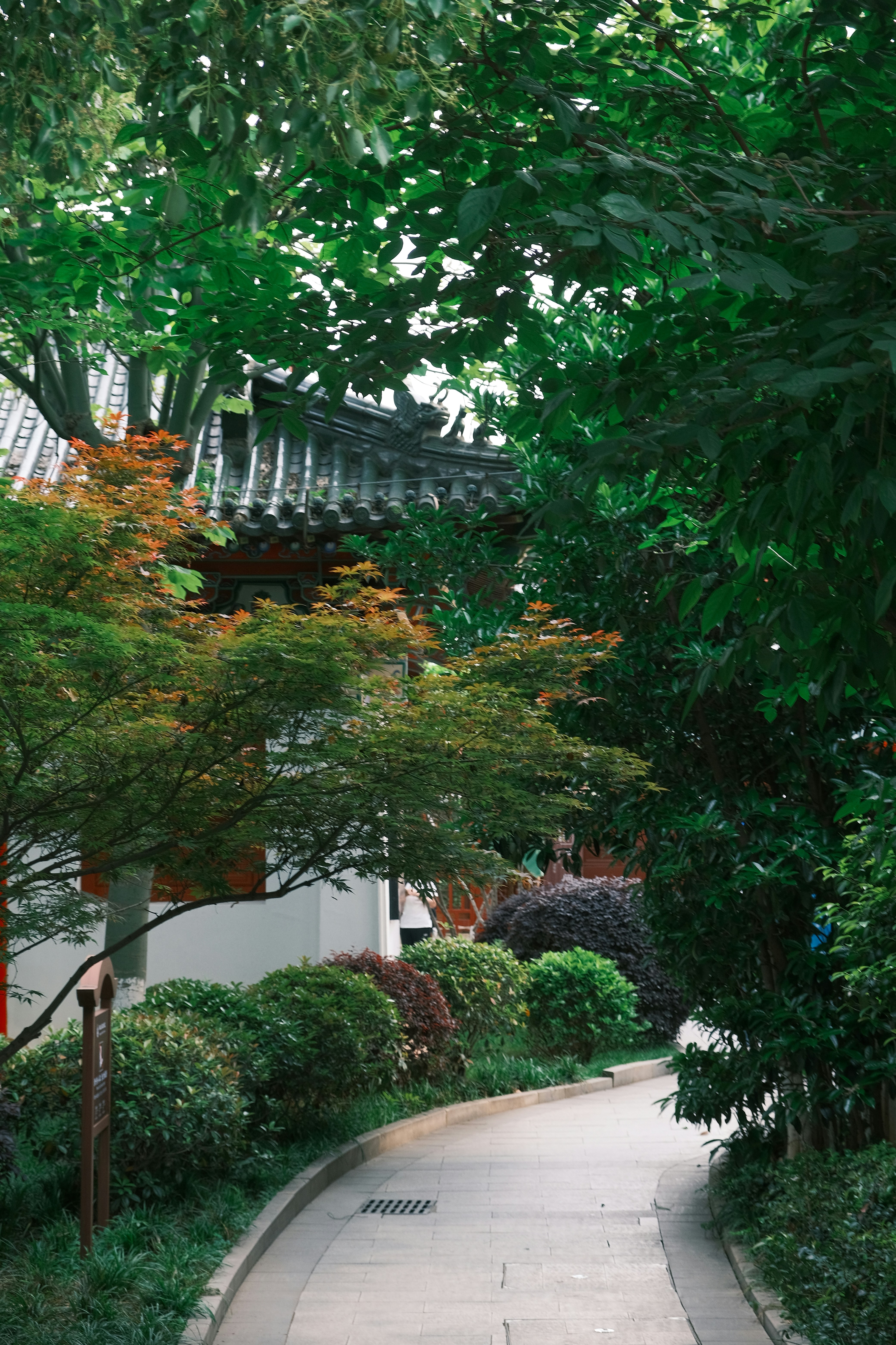 Serene Path Through a Shaded Japanese Garden