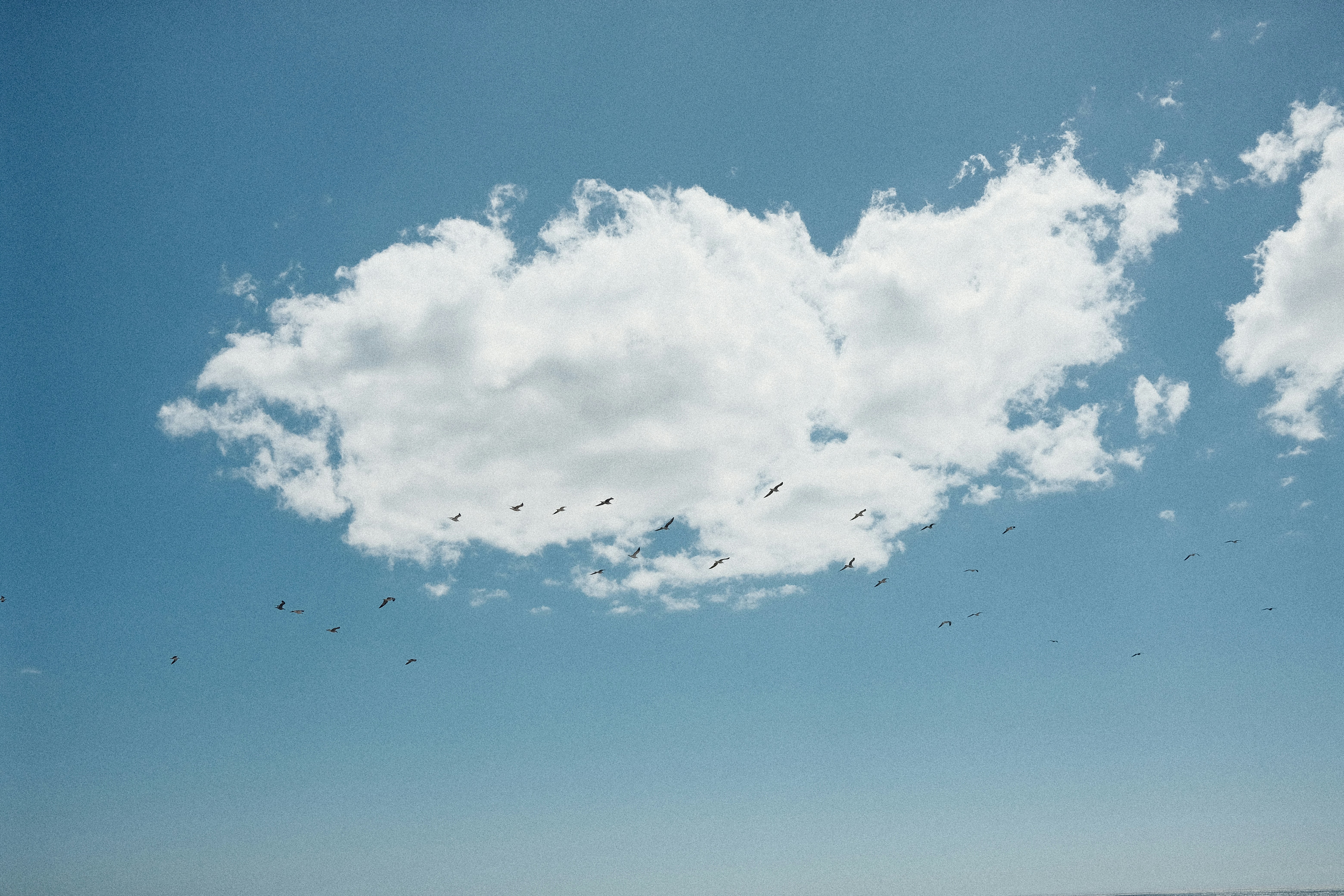A solitary cloud drifting above a calm horizon