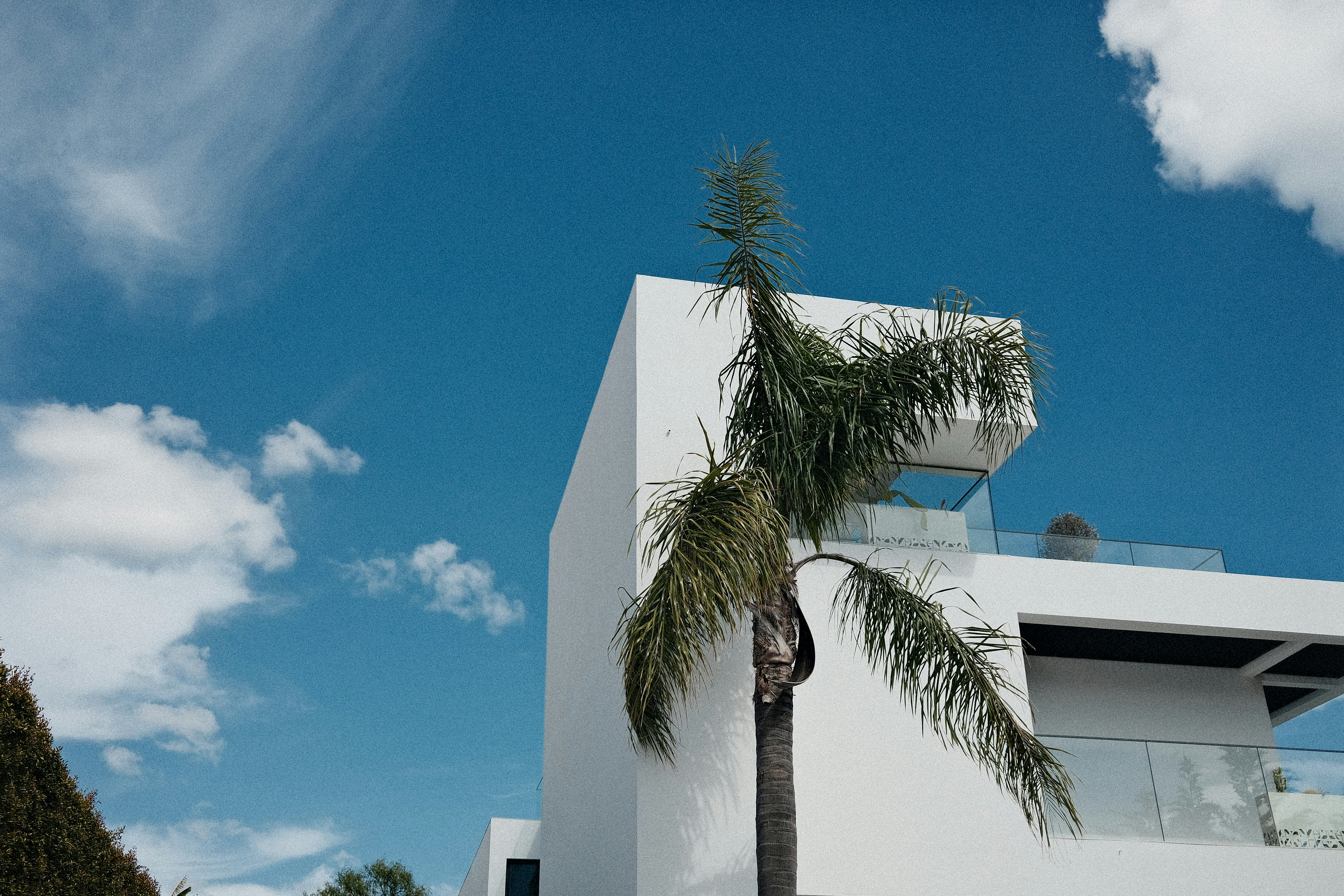 Modern white building with palm tree and blue sky