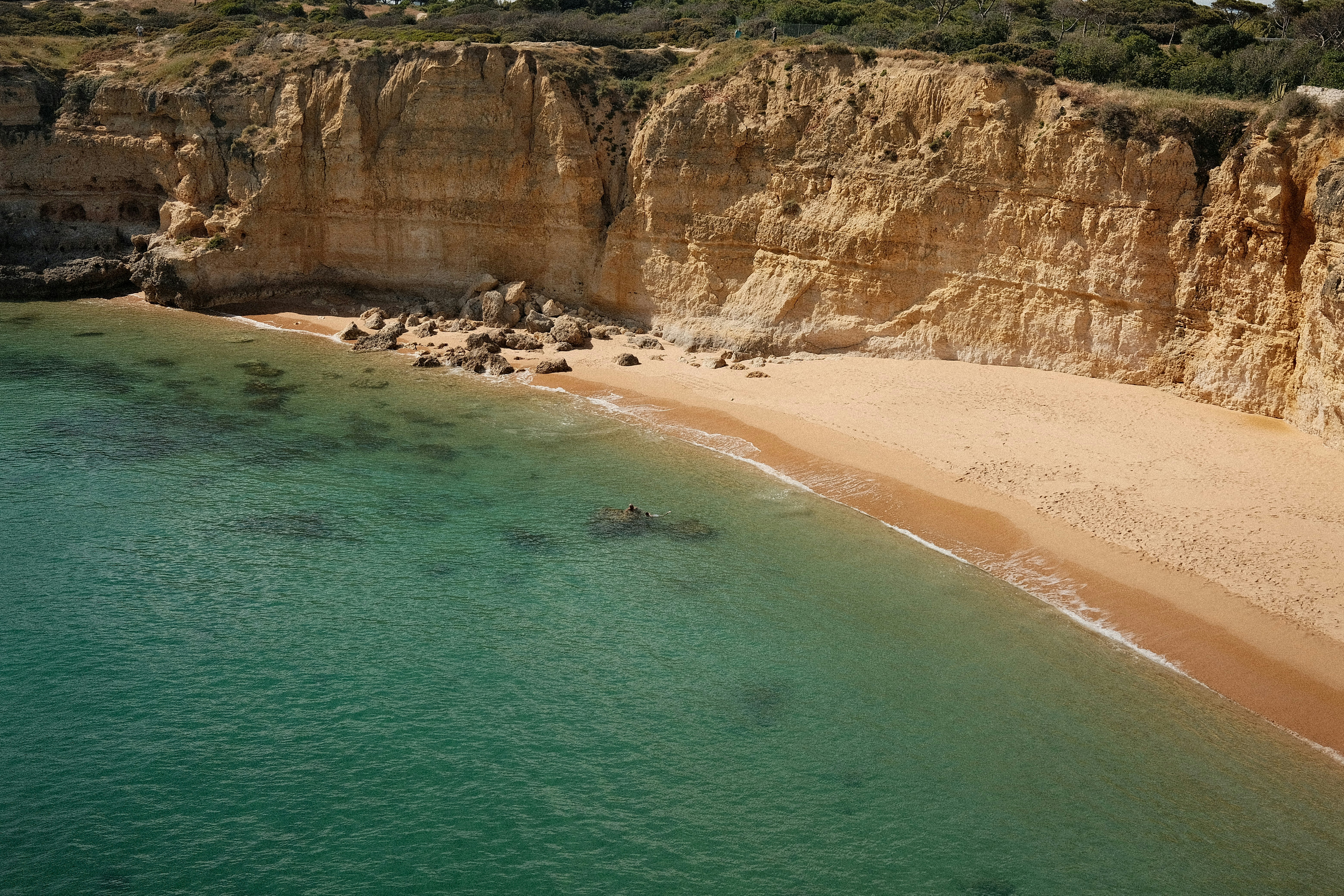 Emerald Shoreline Guarded by Pale Cliffs
