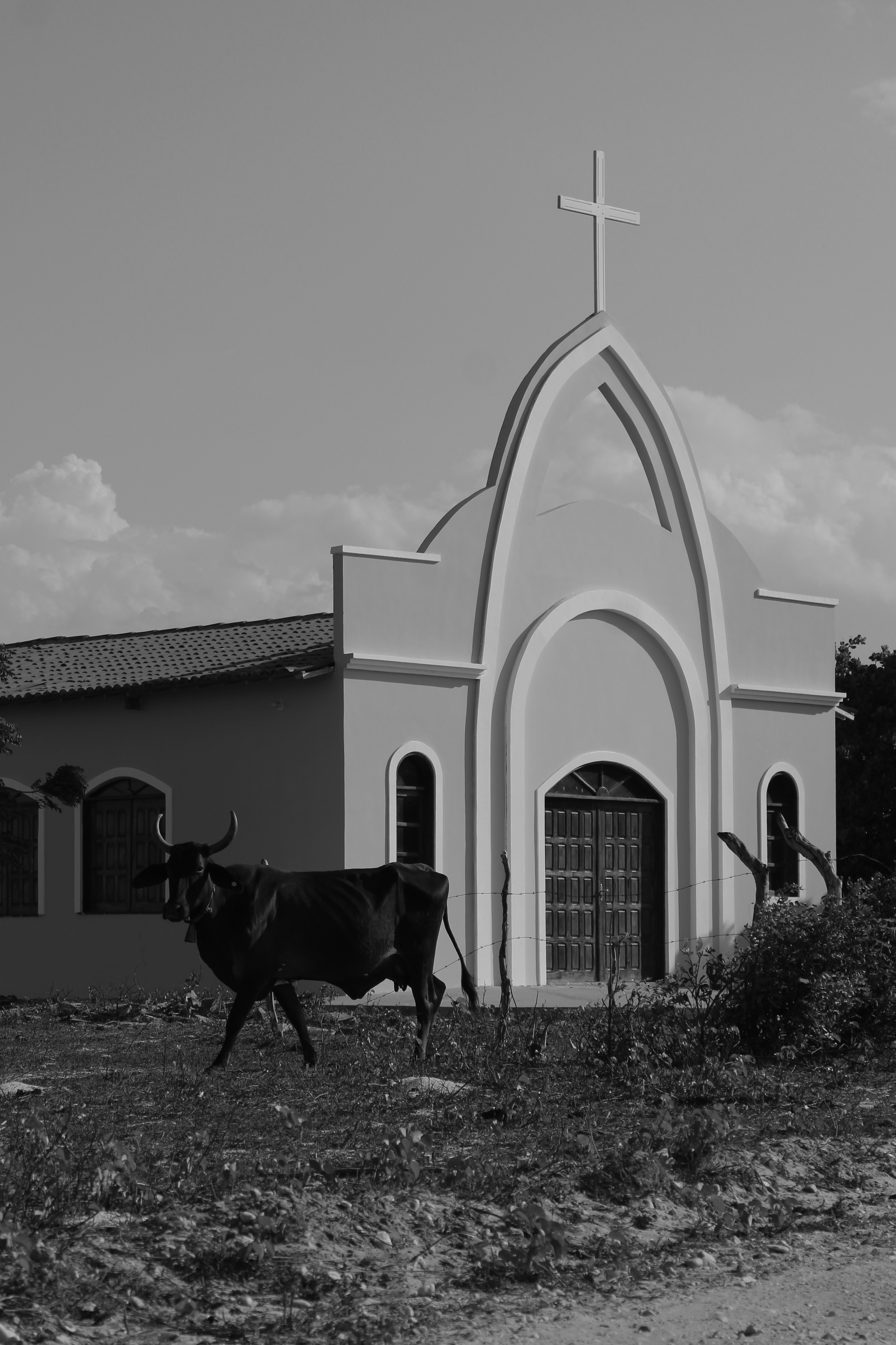 Cross and Choir: A Quiet Farm Church Beneath the Watchful Bull