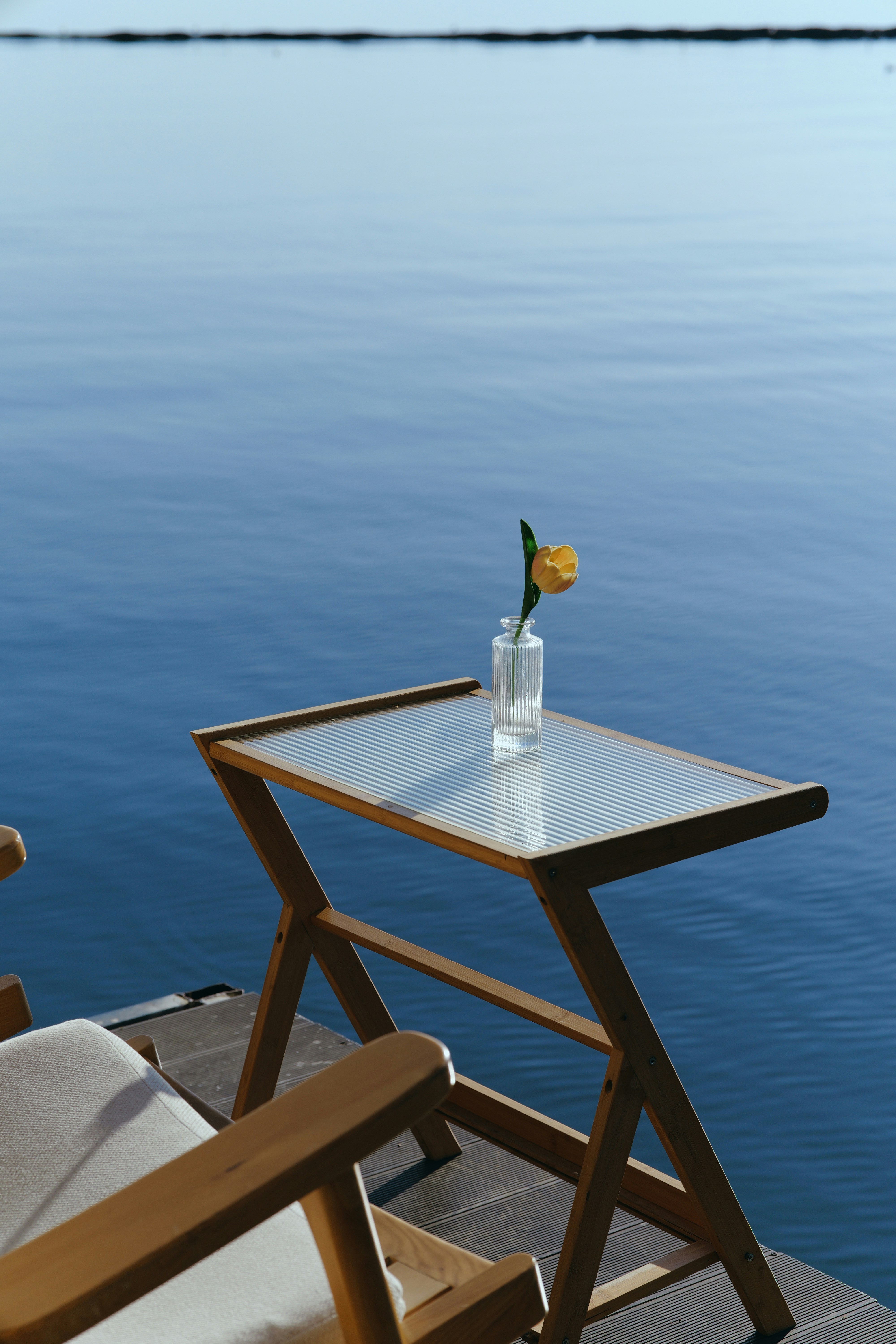 A Single Tulip in a Glass Against Serene Blue Waters