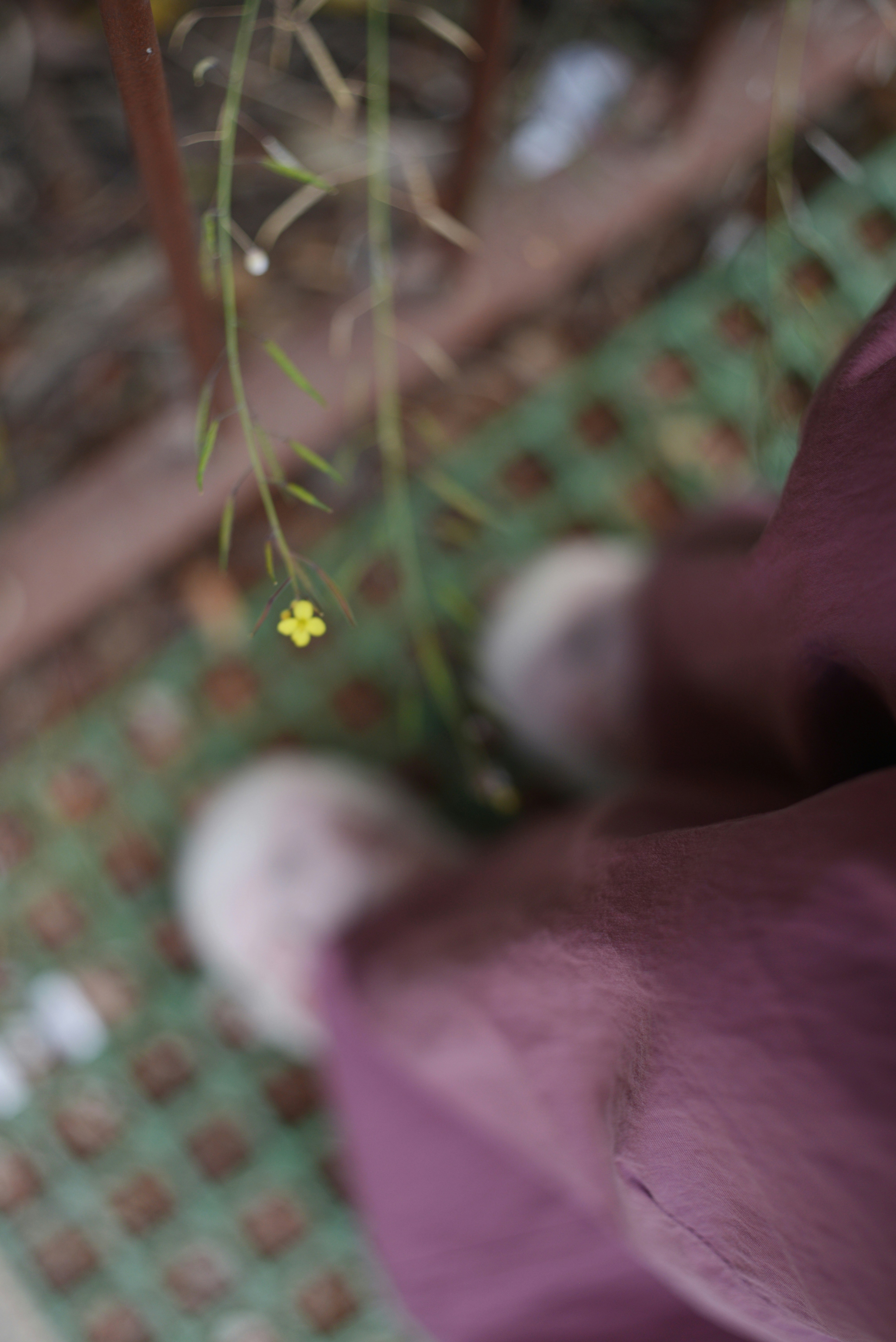 Tiny Yellow Bloom Amid Purple Fabric and Green Weave