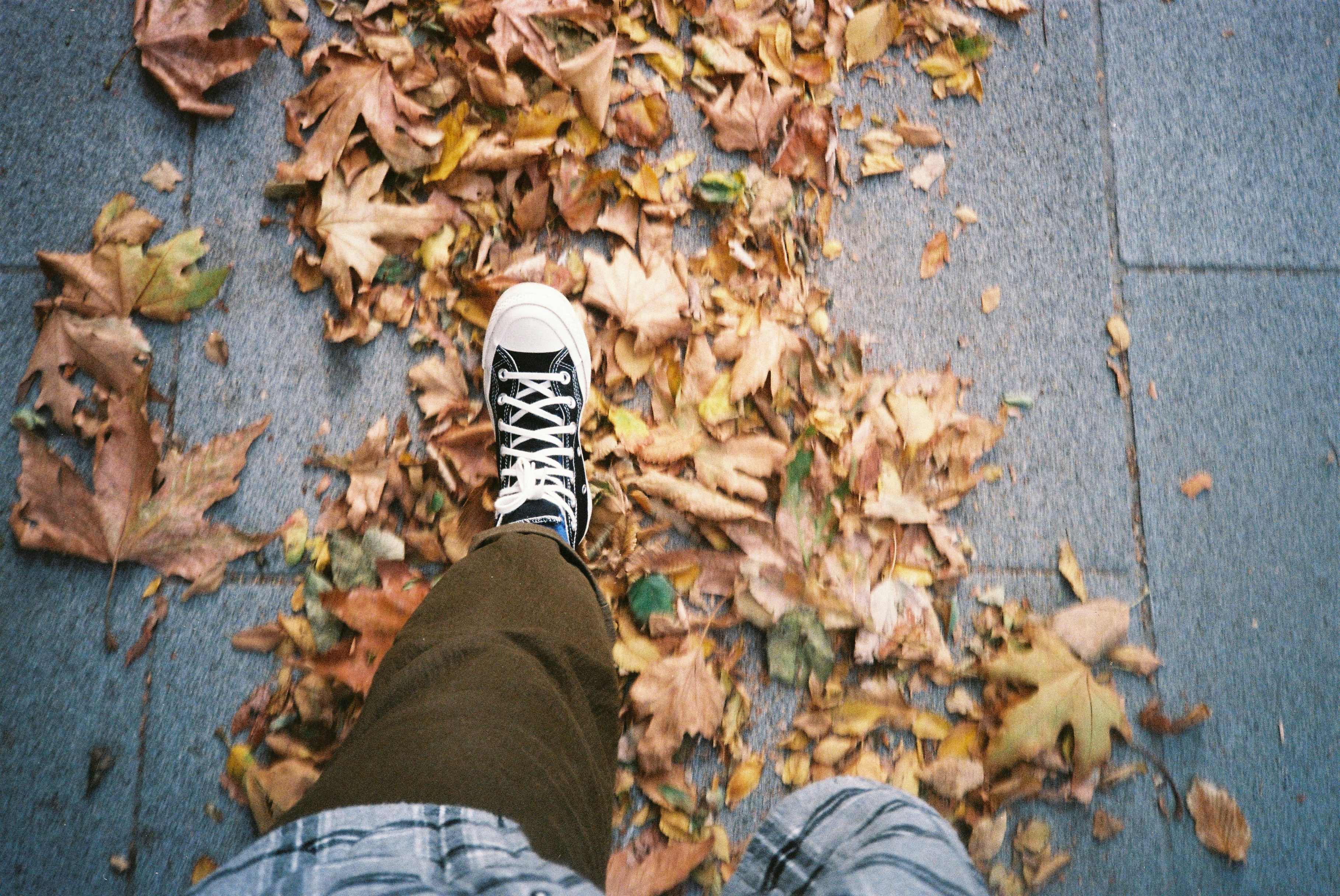 Step Through Autumn: A Single Shoe Crossing a Leaf-Covered Path