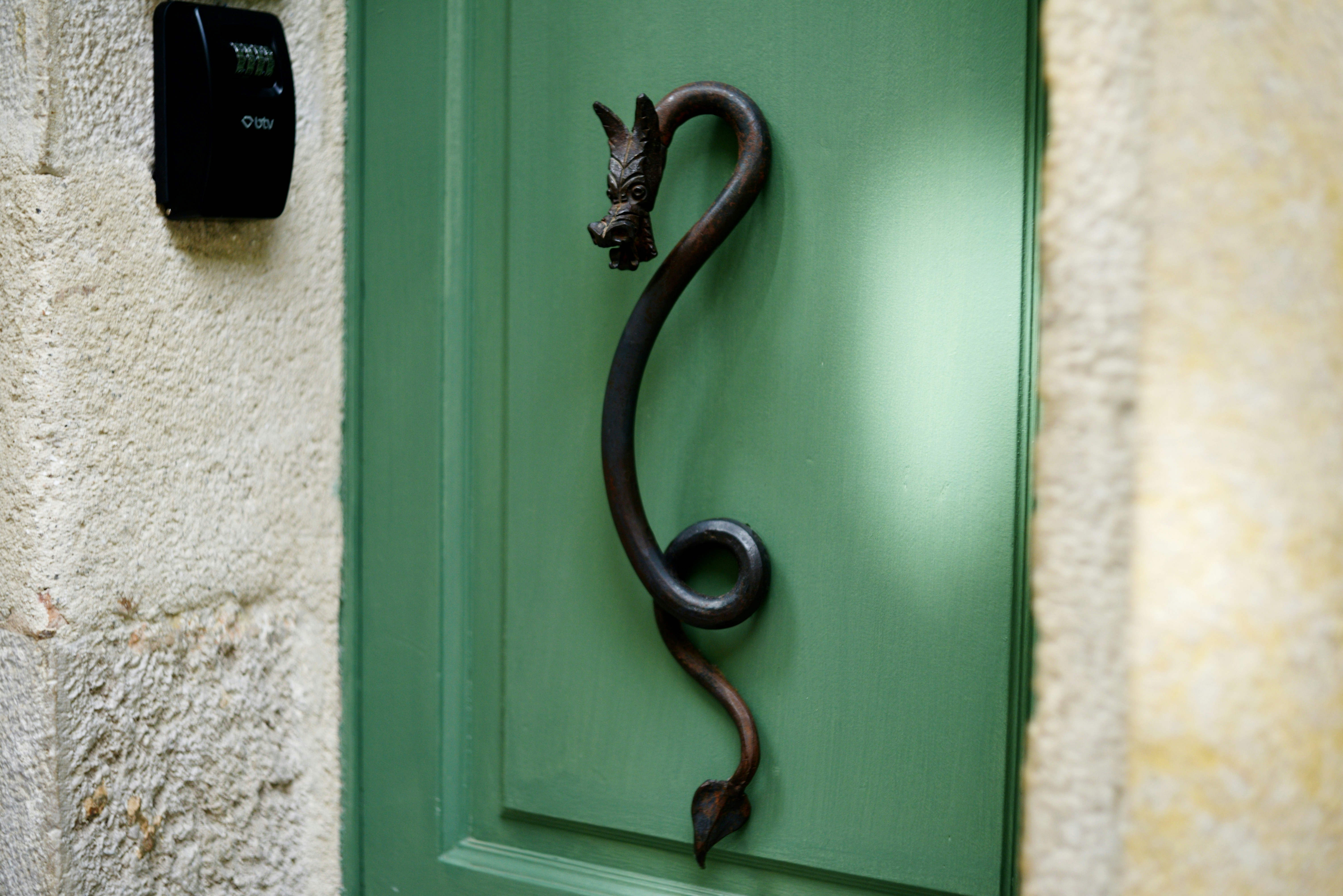 Curved Iron Work on a Verdant Door