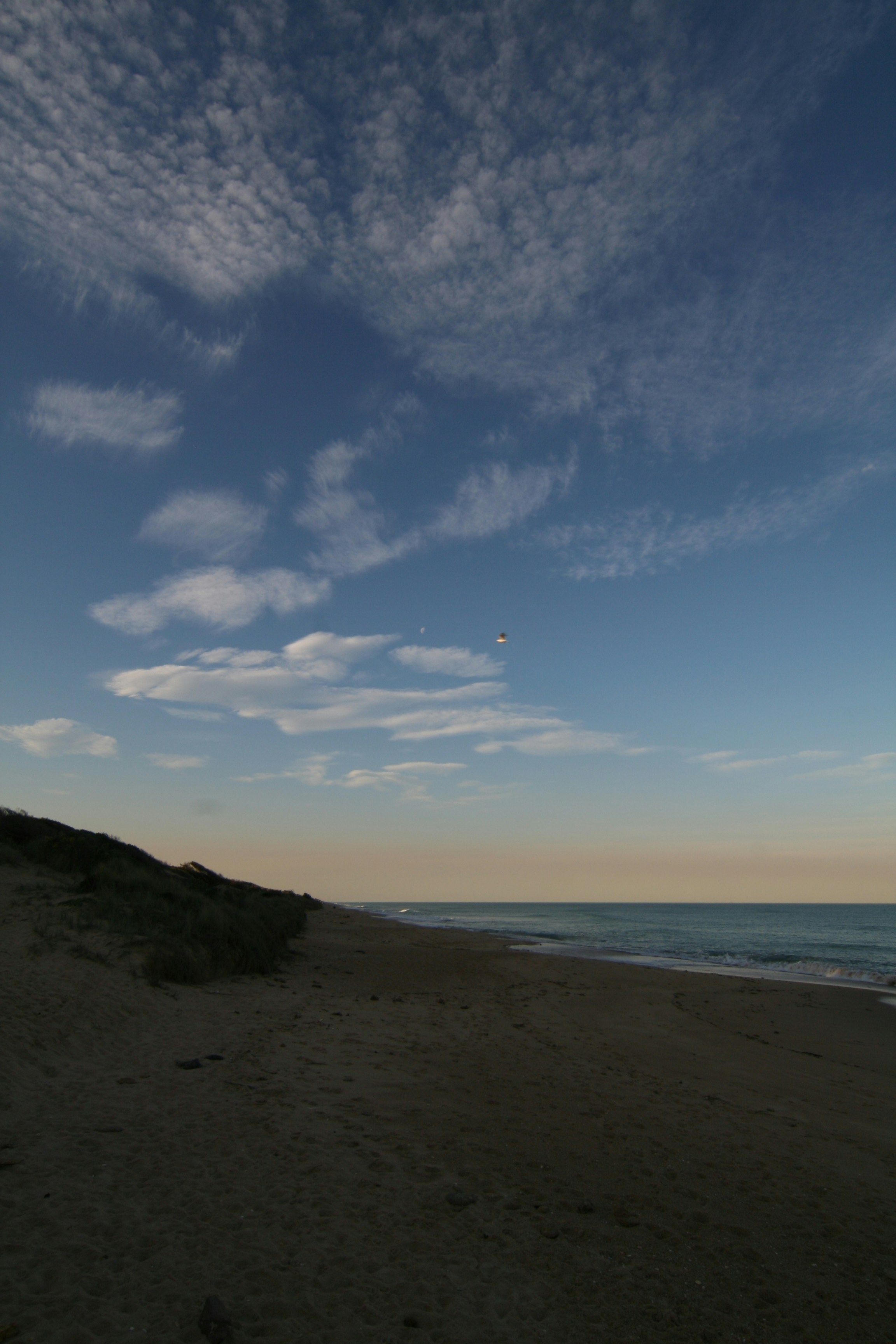 Dusk Seaway: A Quiet Horizon over Sandy Dunes