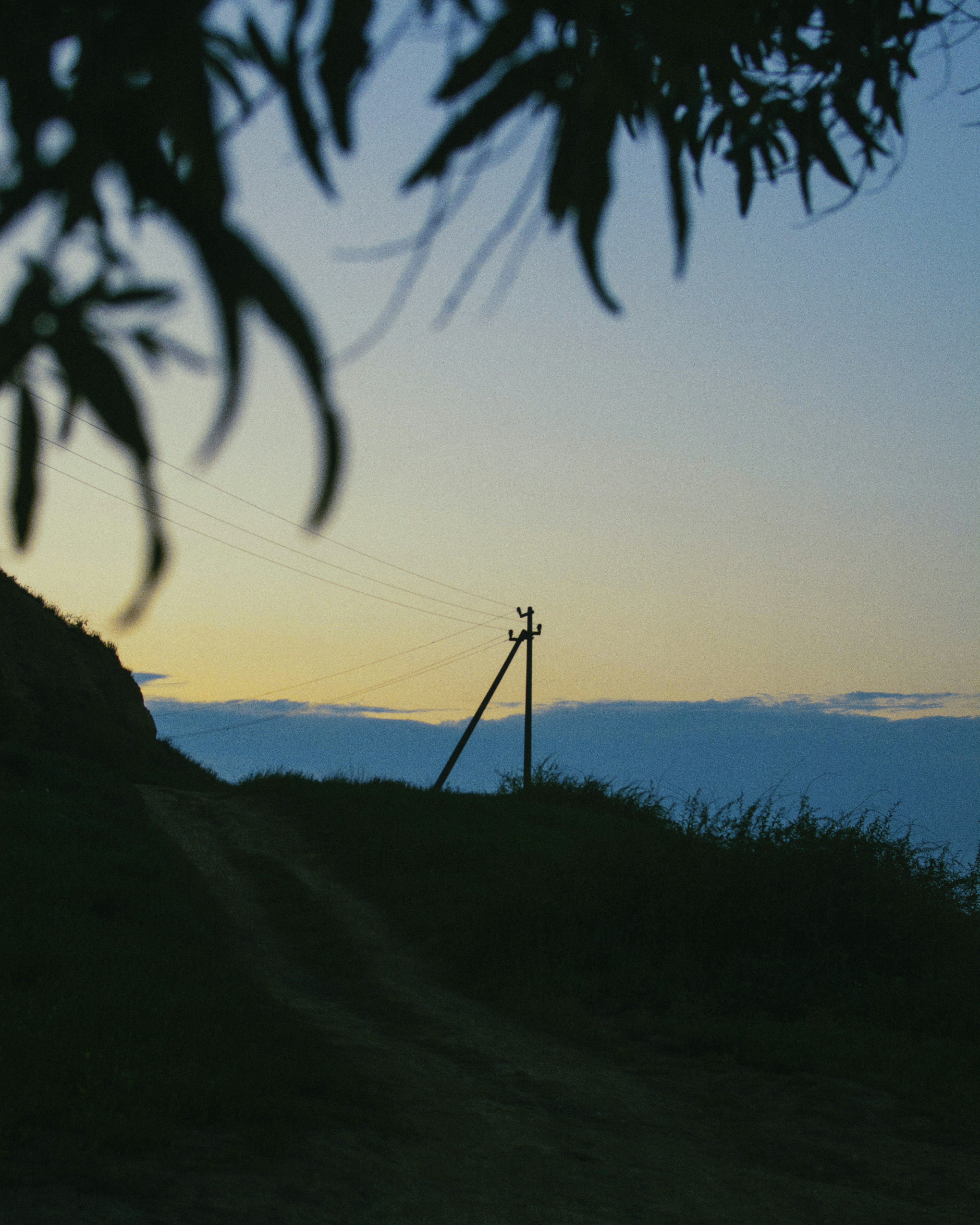 Dusk Over the Dune: Silent Power of a Translucent Horizon