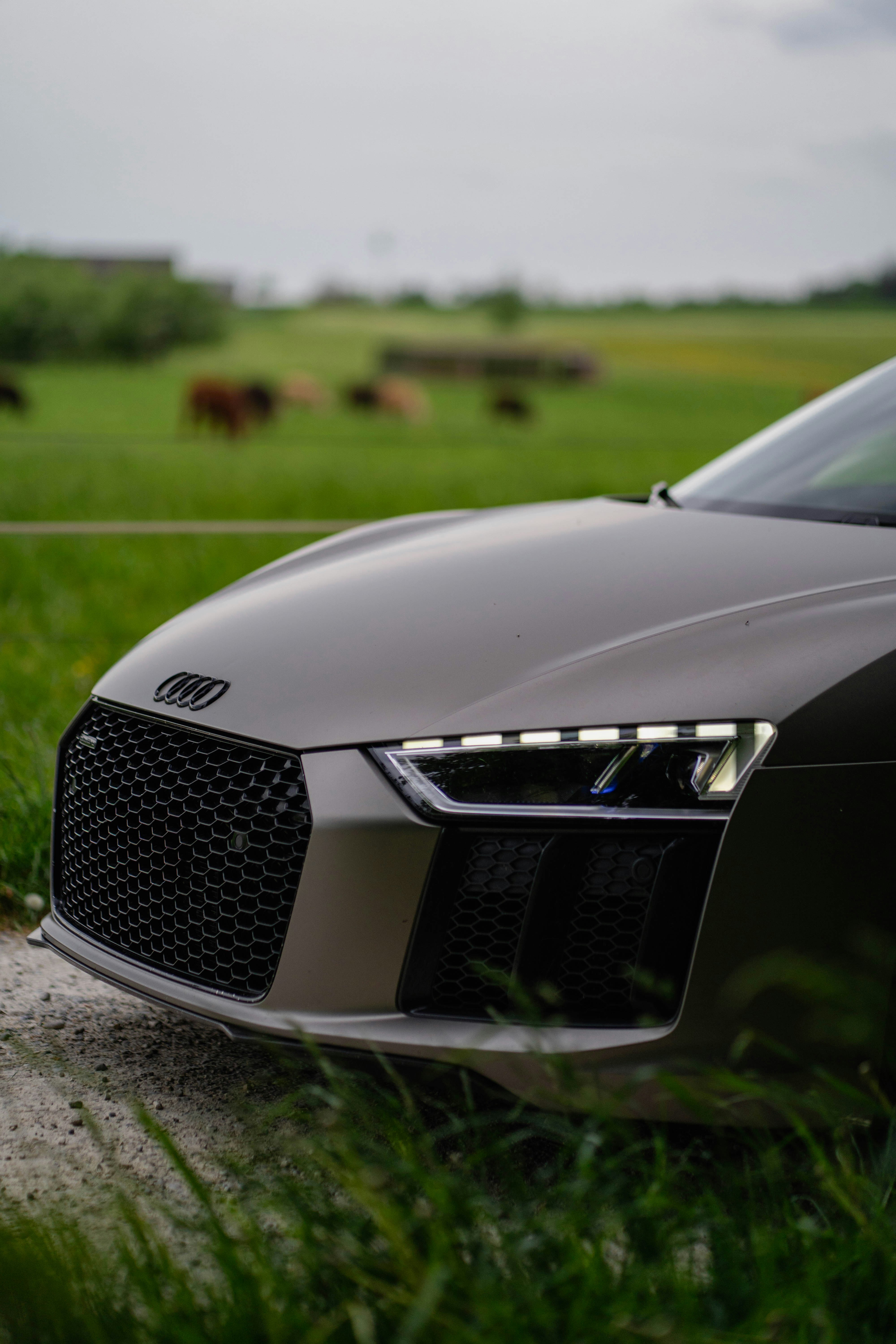 Grainy Green Field and a Matte Audi Stare