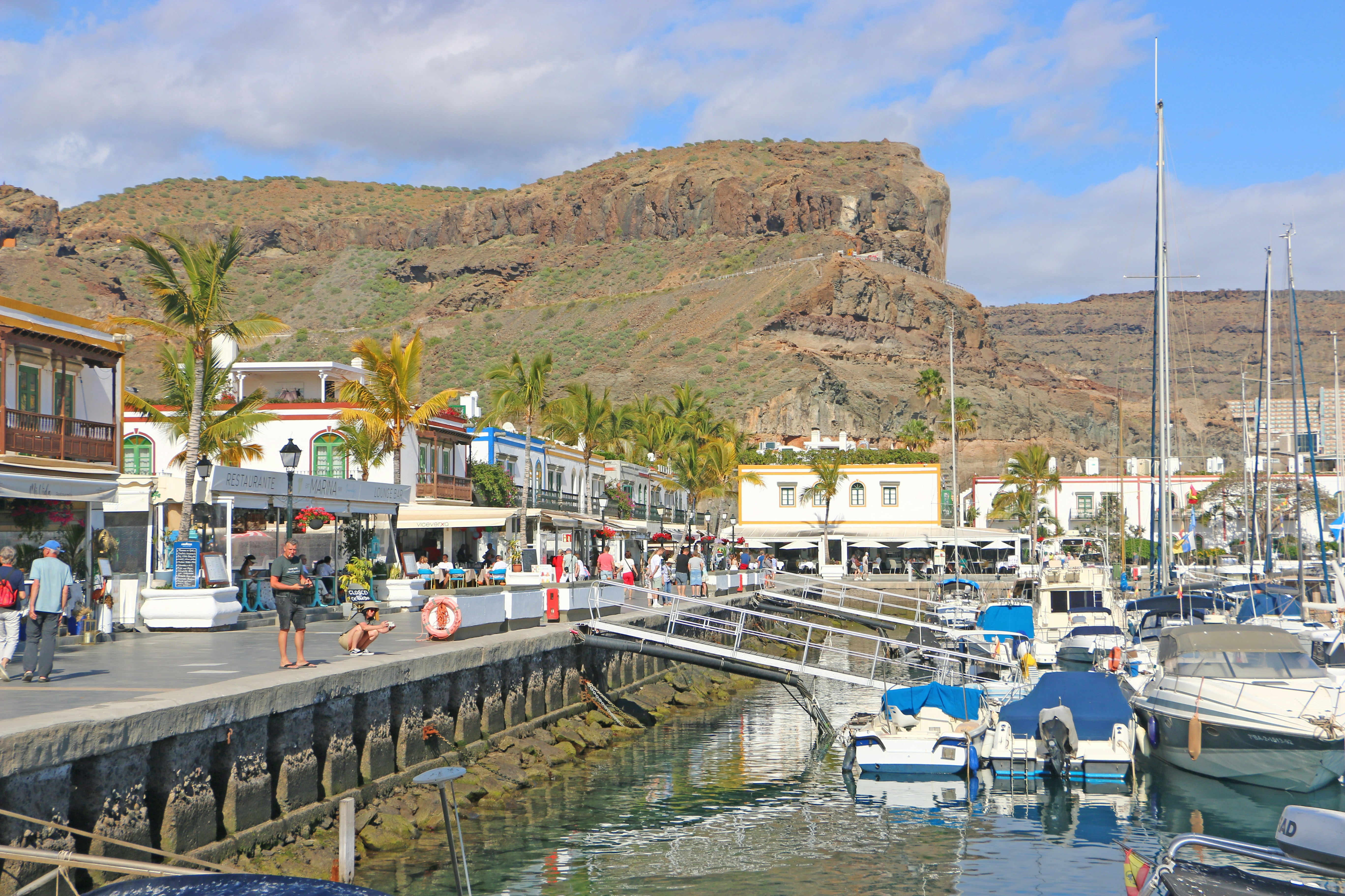 Harborside Village at Dusk: Boats, Cannery Streets and a Rugged Cliff