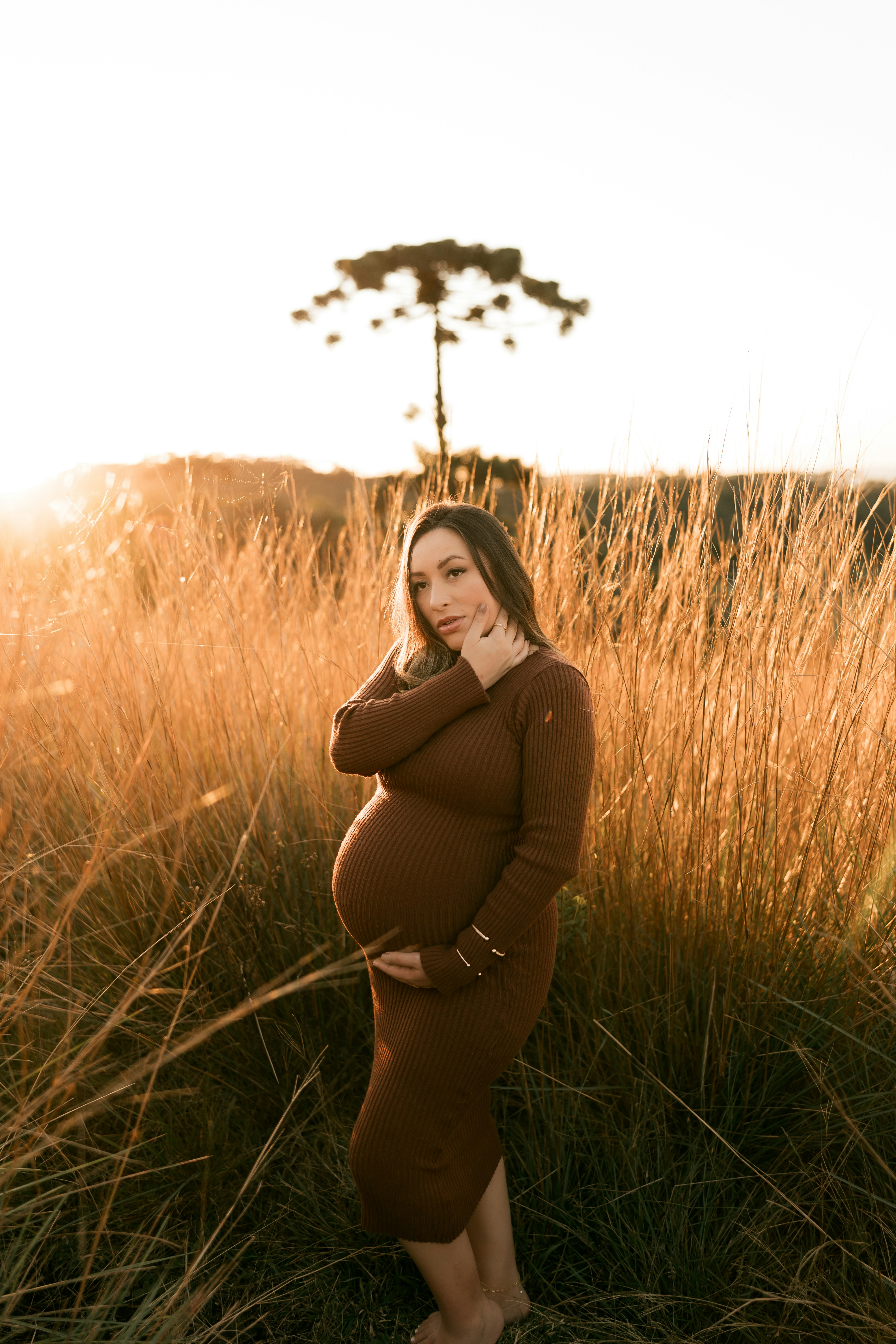 Golden Hour Expecting: A Maternity Portrait in Tall Field Light