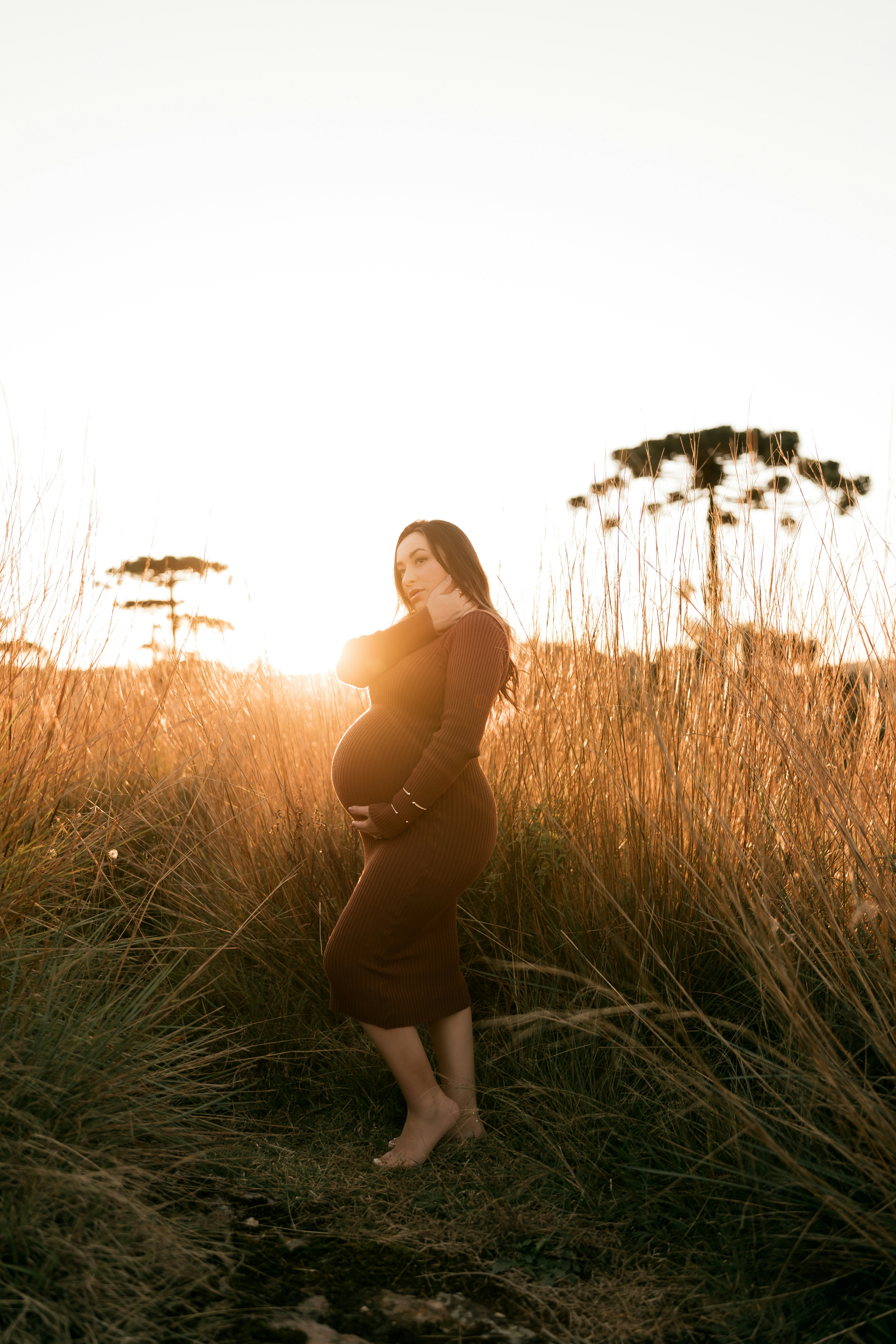 Golden Hour Expectation: A Pregnant Silhouette in Tall Grass