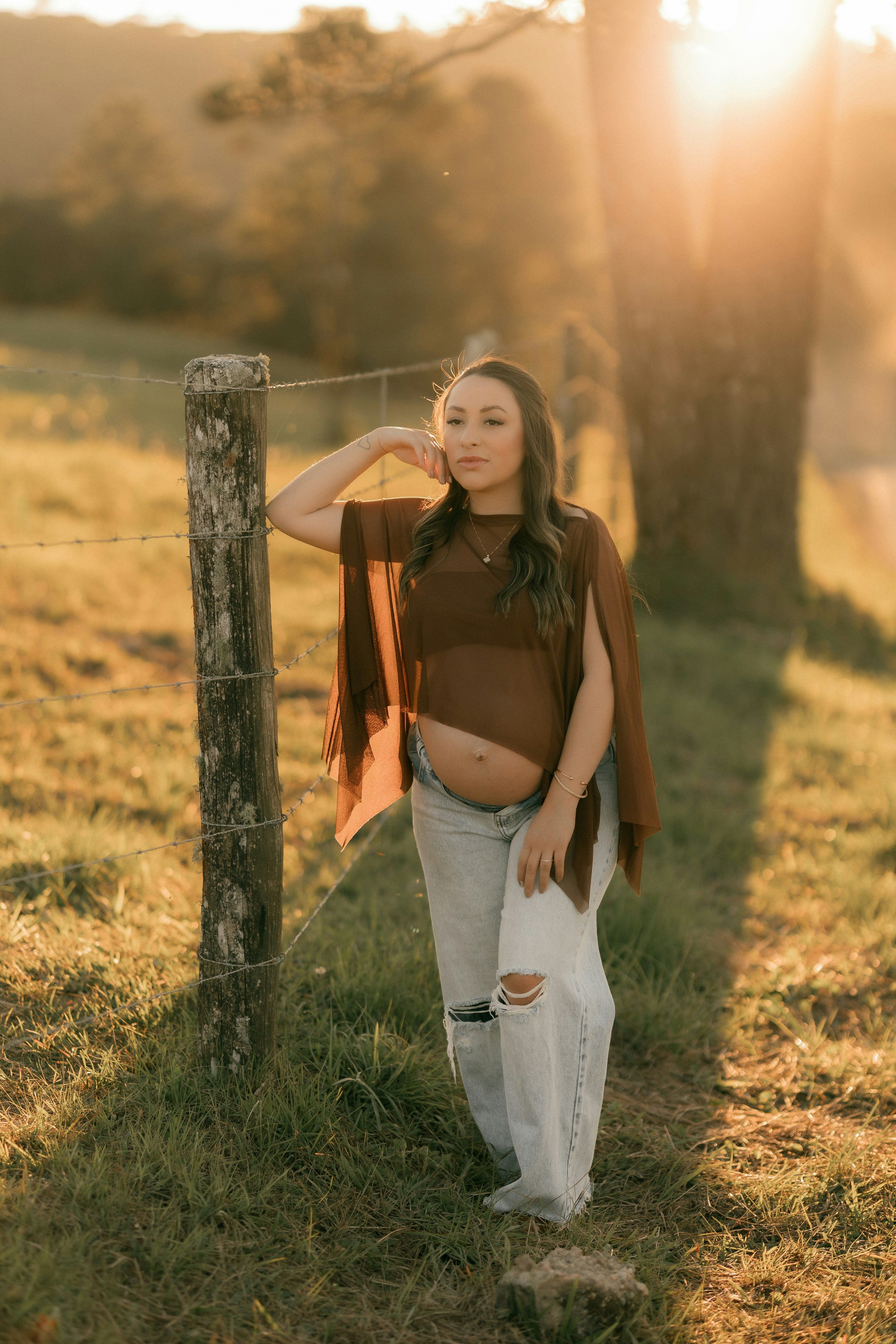 Sunlit Confidante by the Fence