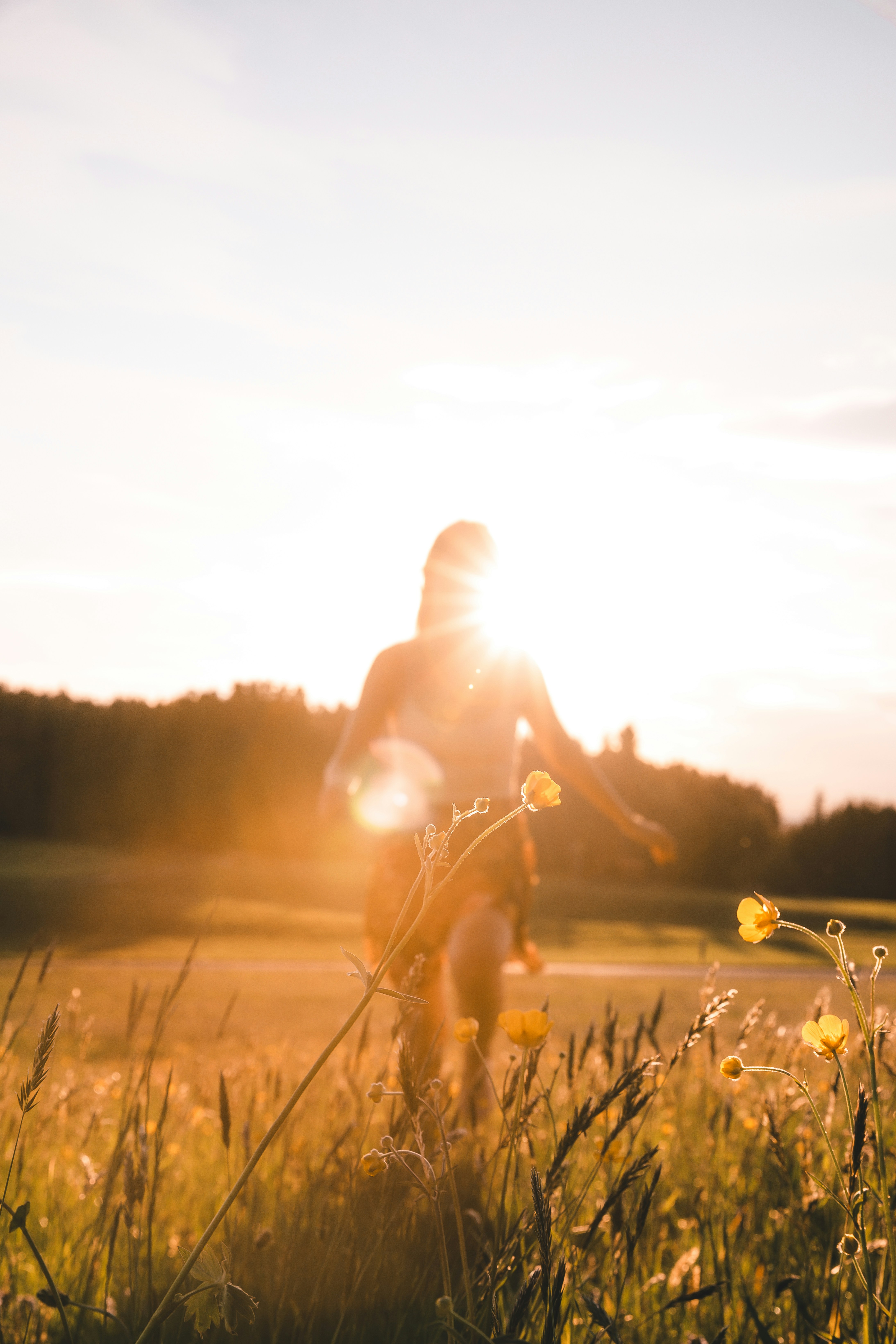 Sunlit Silhouette: A Figure in the Golden Meadow