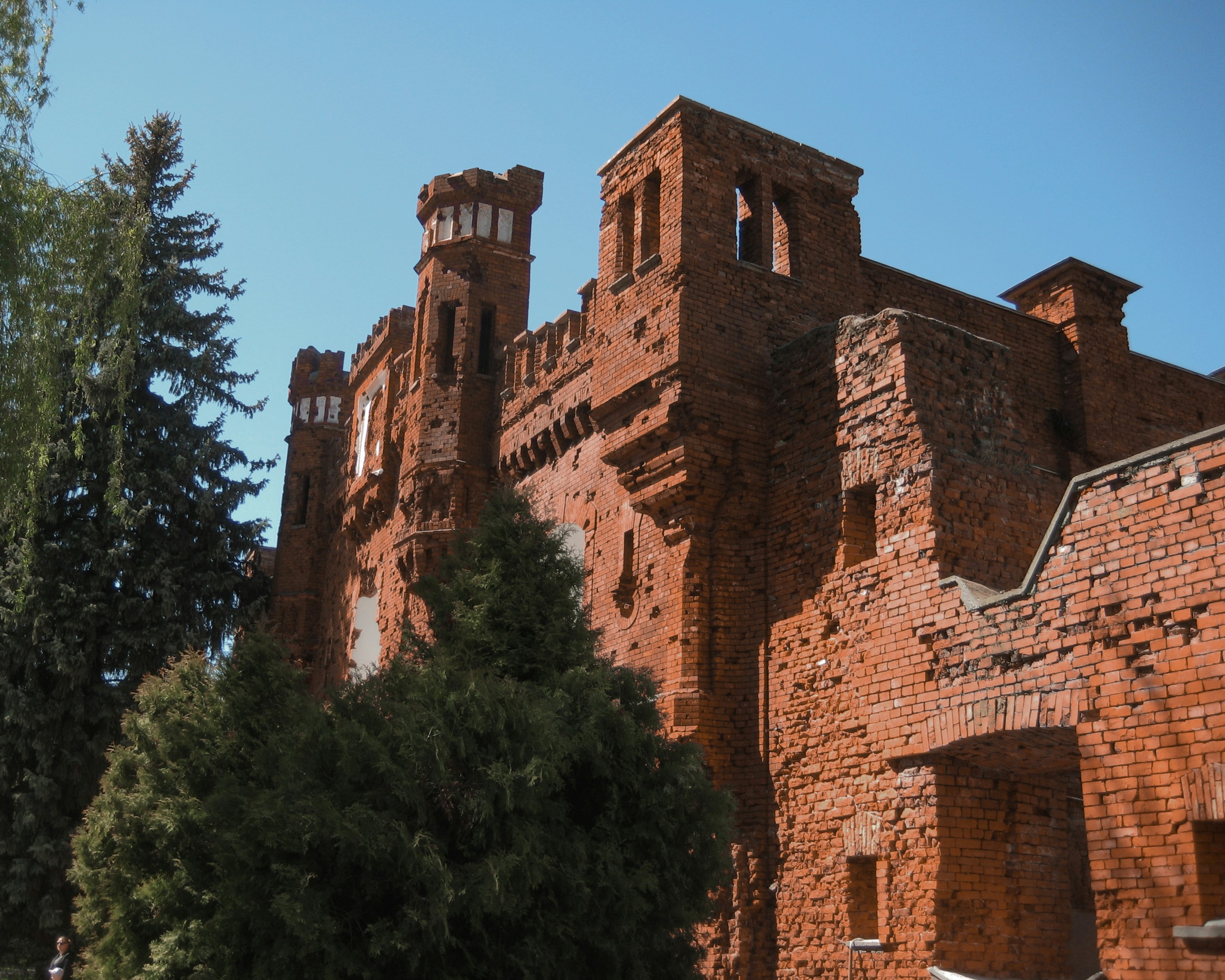 Red Fortress in Sunlit Pines
