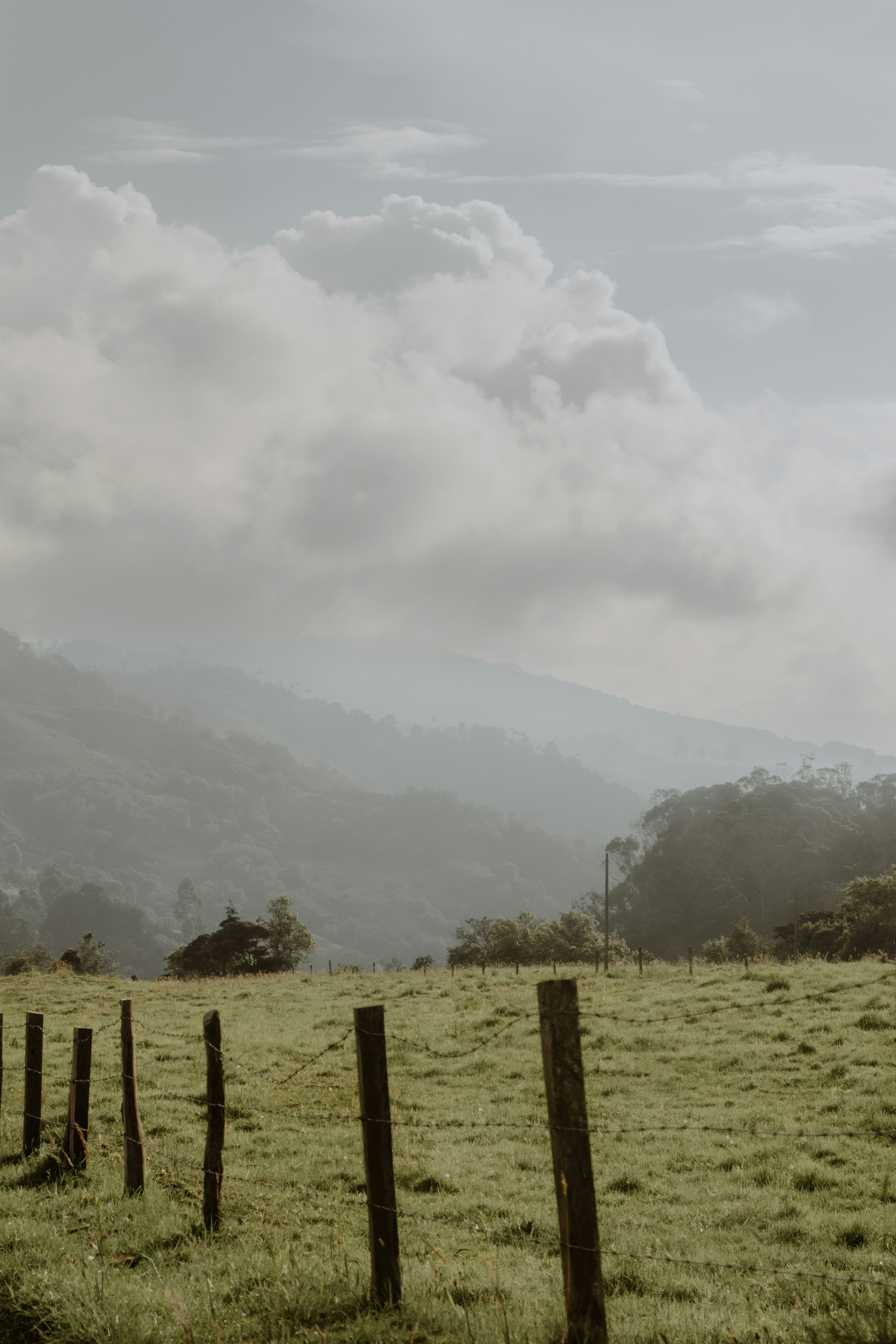 Pastoral Ridge: Light Drifts Over the Fence