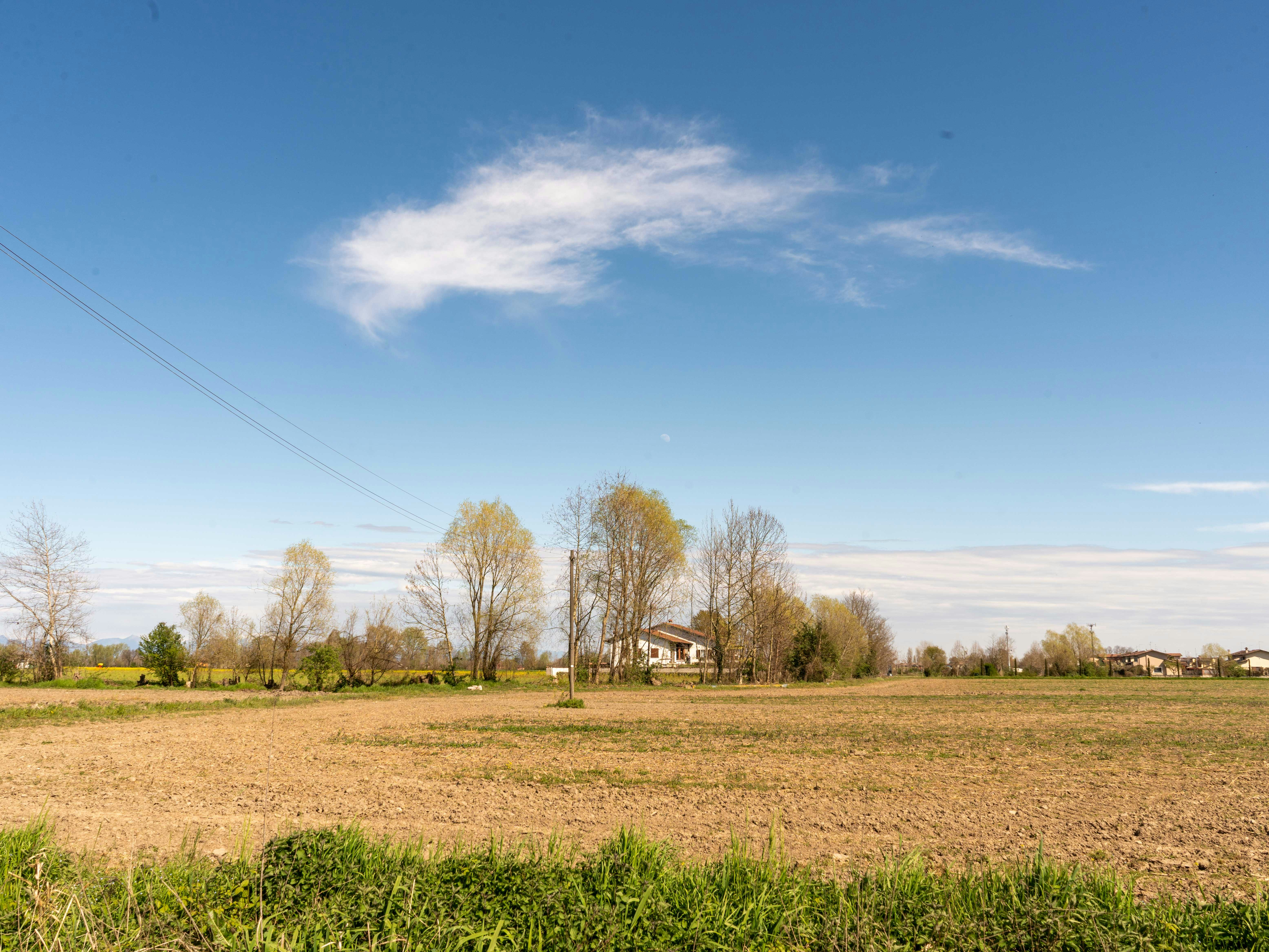 Late-afternoon Field and Distant Homesteads Under a Clear Sky