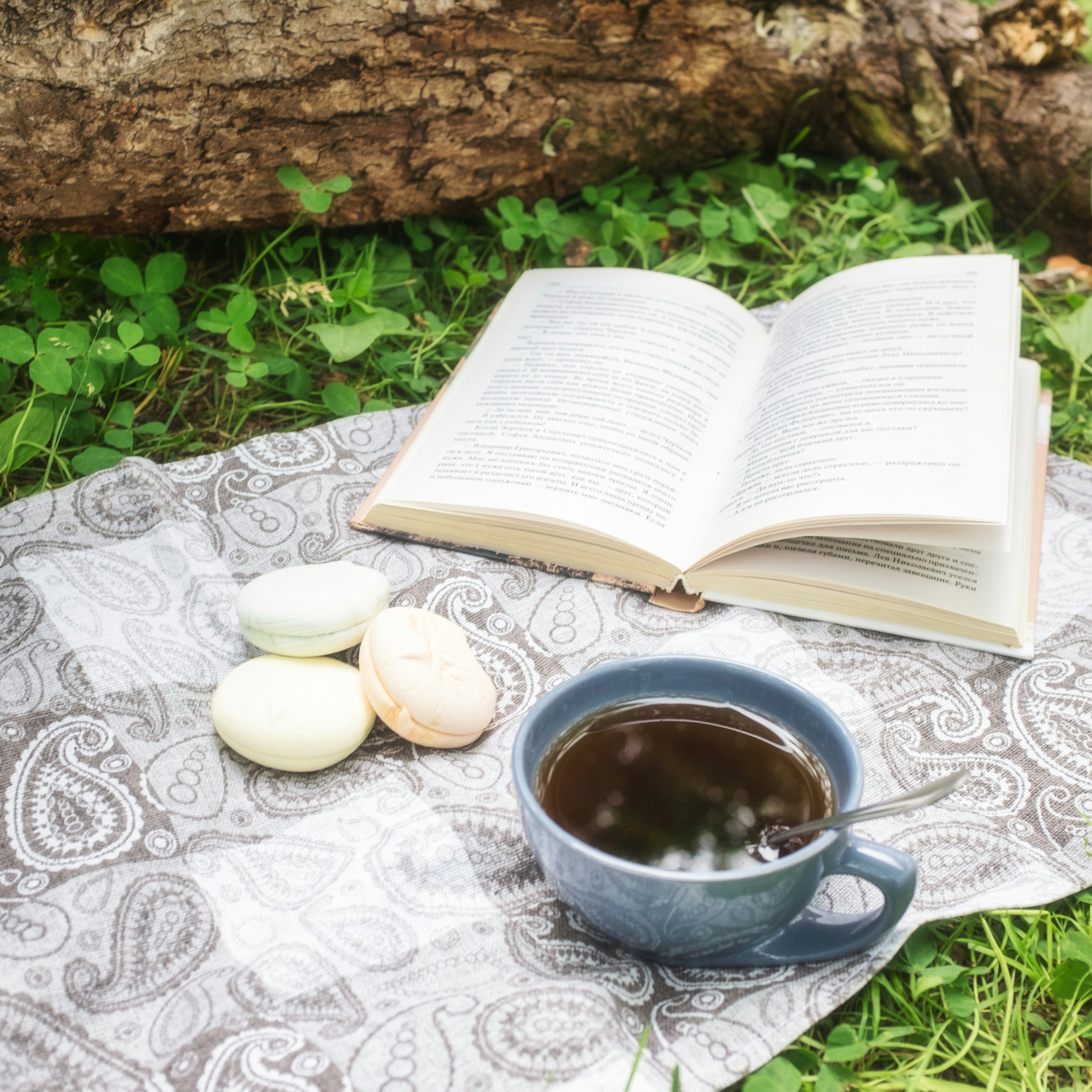 Quiet Picnic: An Open Book, Sips and Stones beneath a Woodland Blanket