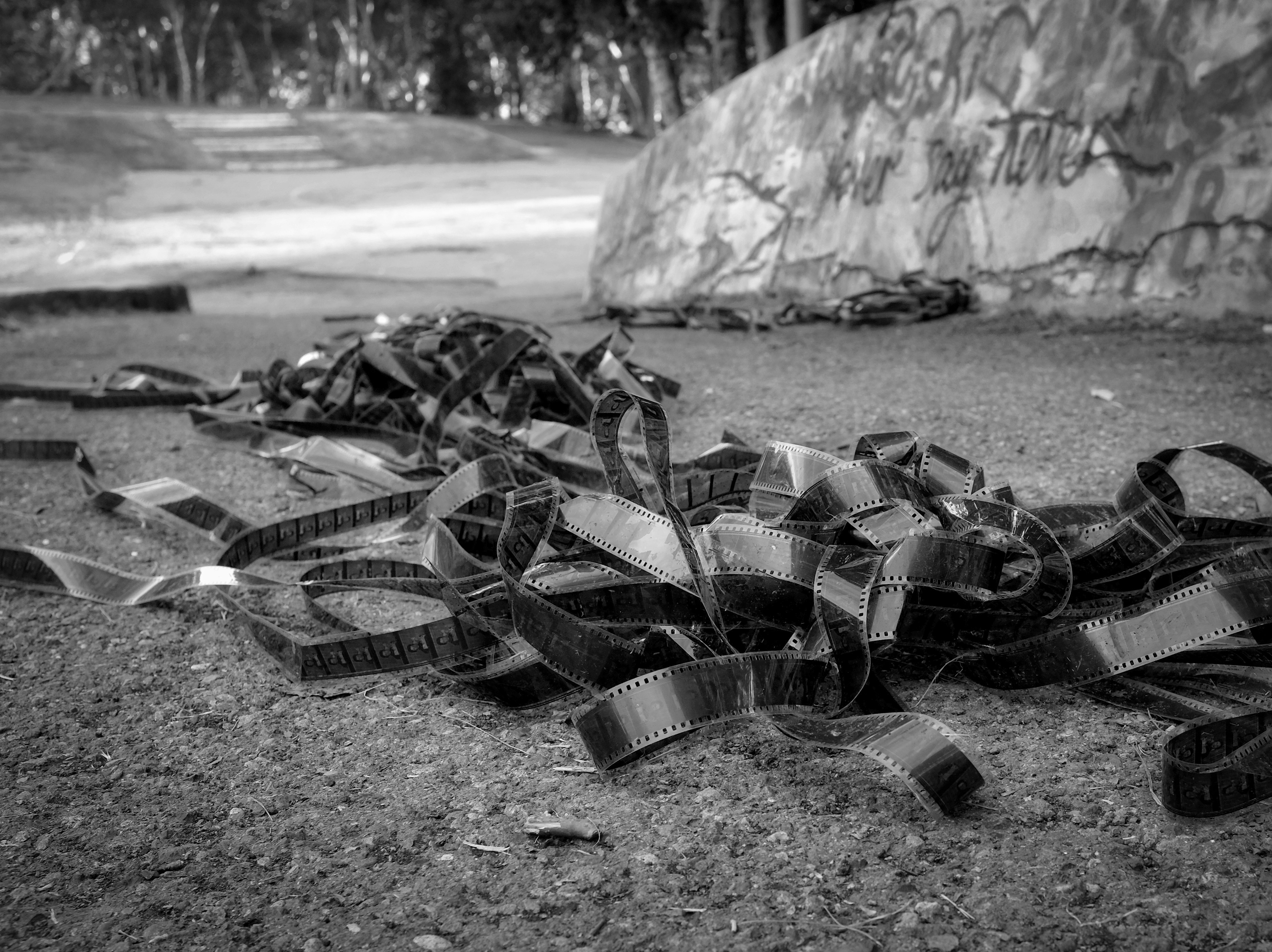 Monochrome scene of tangled film strips scattered on a rough ground with a graffiti-covered wall in the background, suggesting discarded cinema material and urban textures.