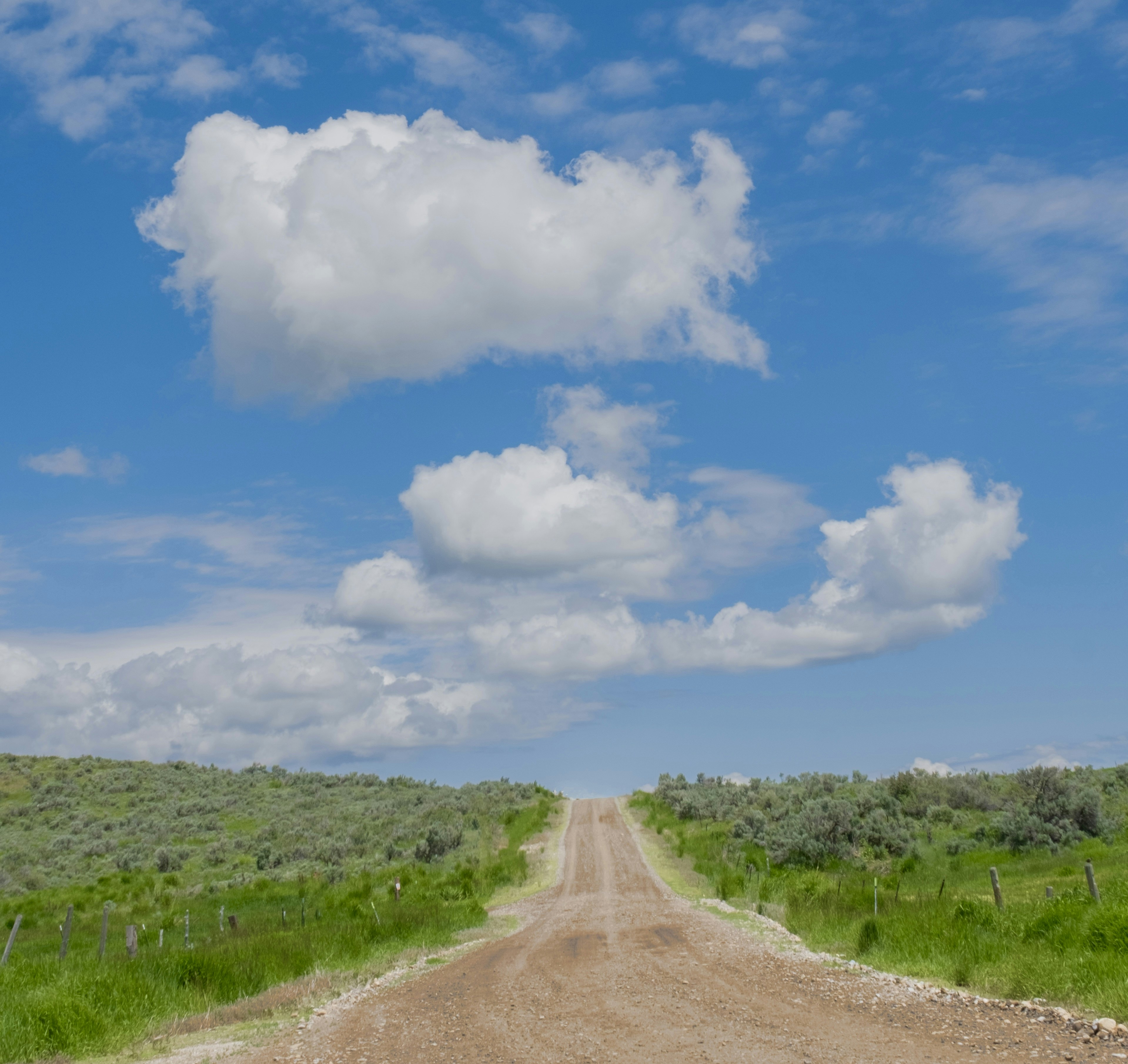 Dusty Road to the Horizon Under a Piled-Cloud Sky