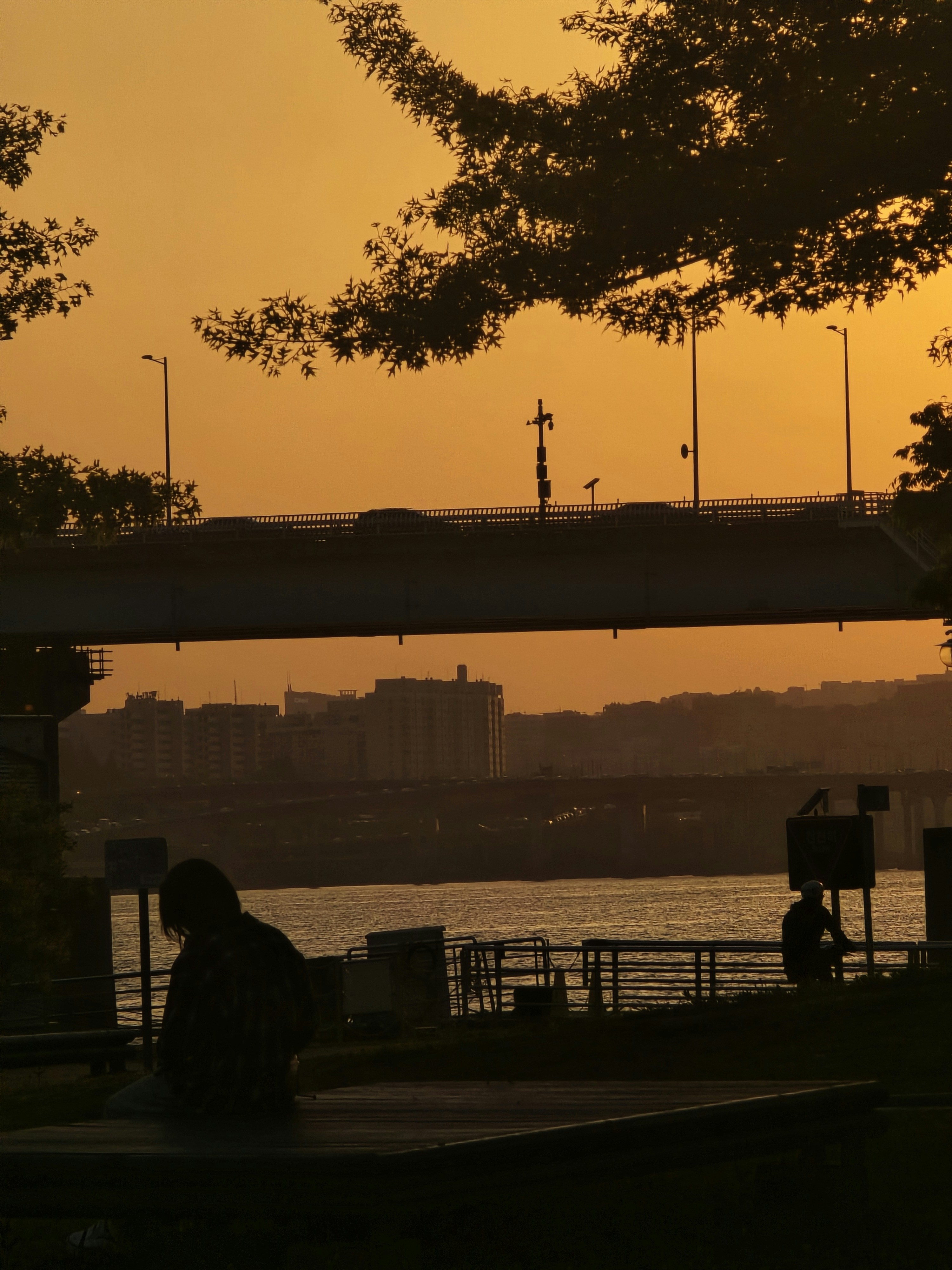 Golden Silhouette Under the Bridge