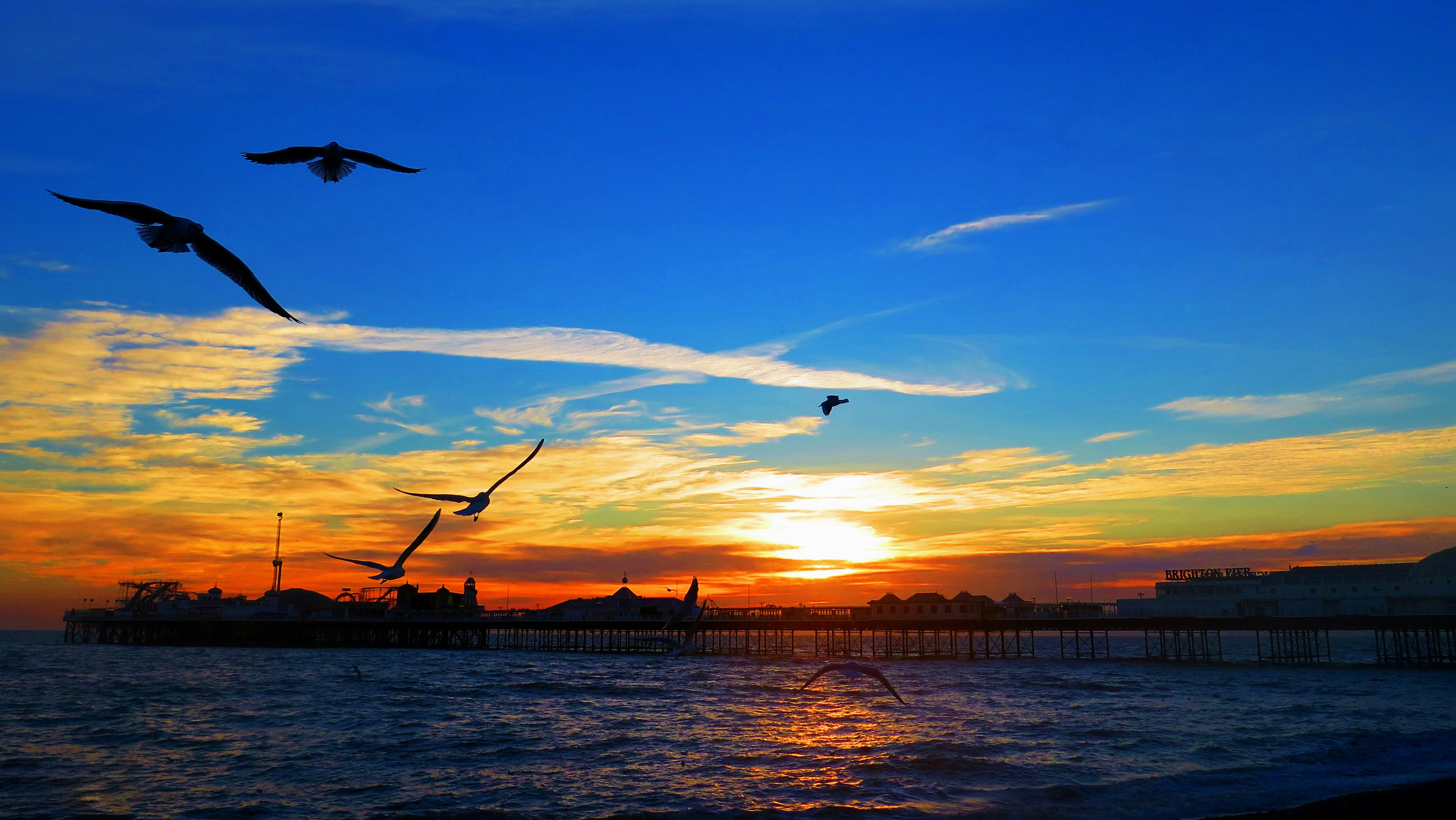 Sunset Over a Seafront Pier with Soaring Seabirds