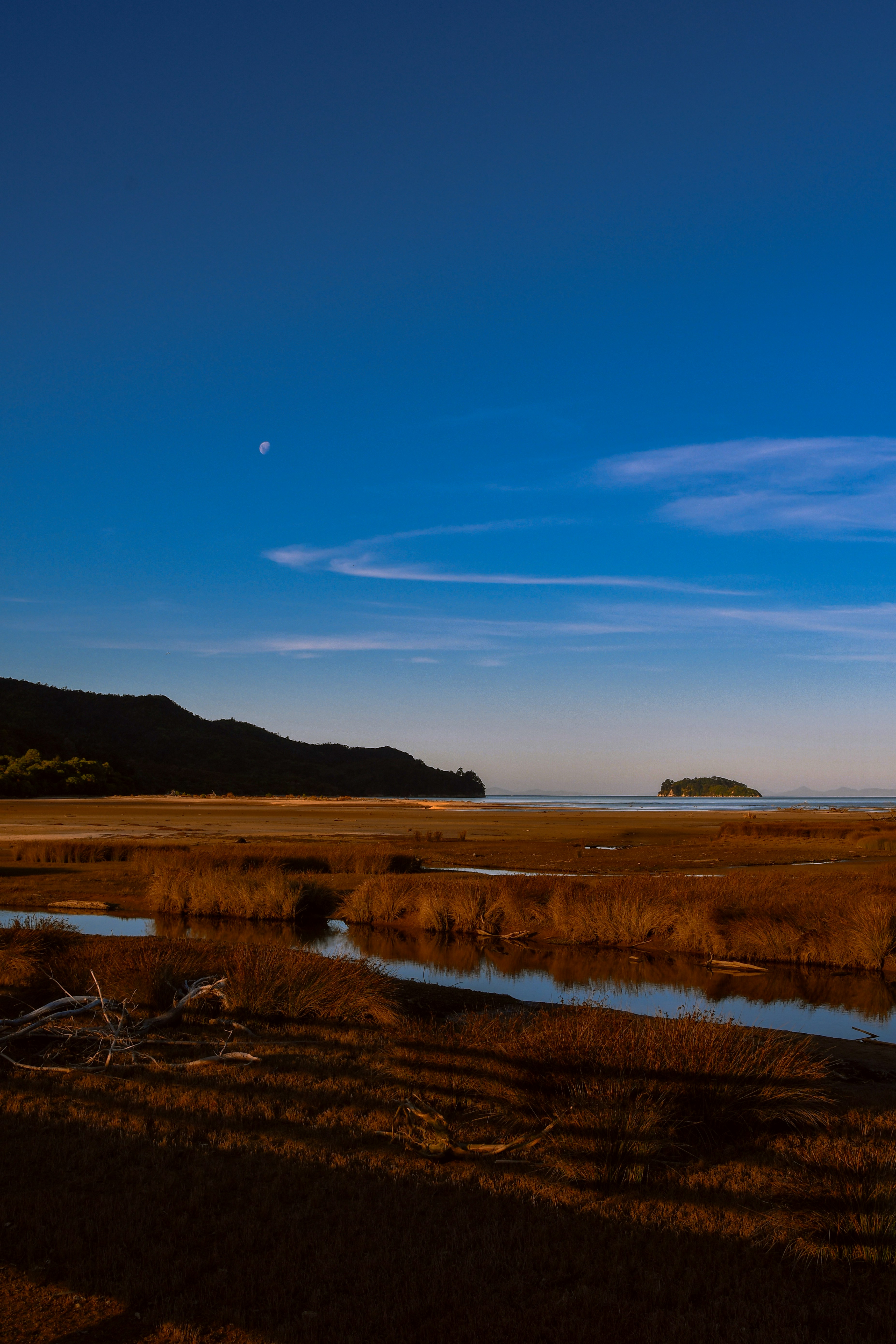 Sunlit Estuary at Dusk: Coastal Flats Meet a Distant Island