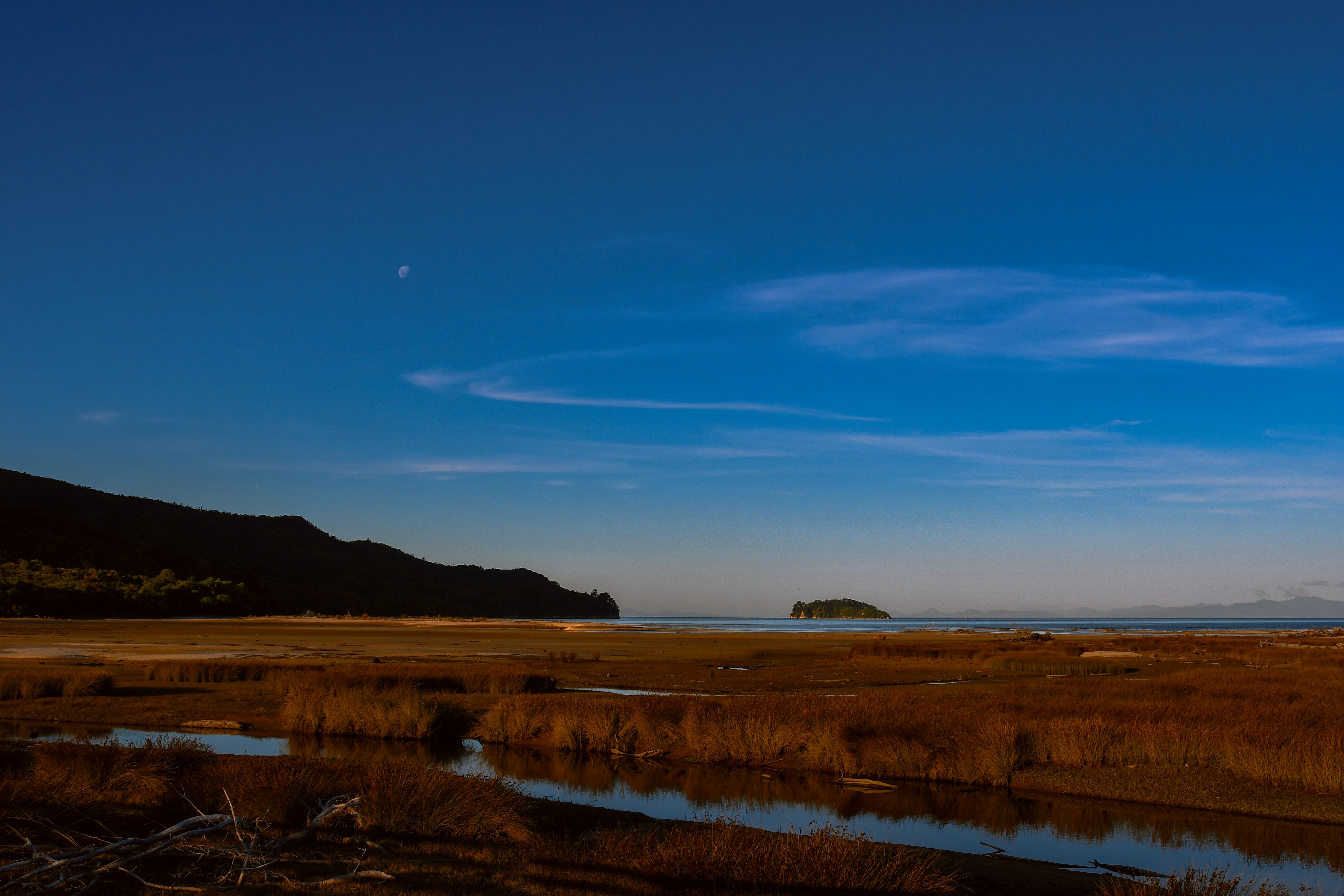 Coastal Marsh at Dusk: A Quiet Horizon