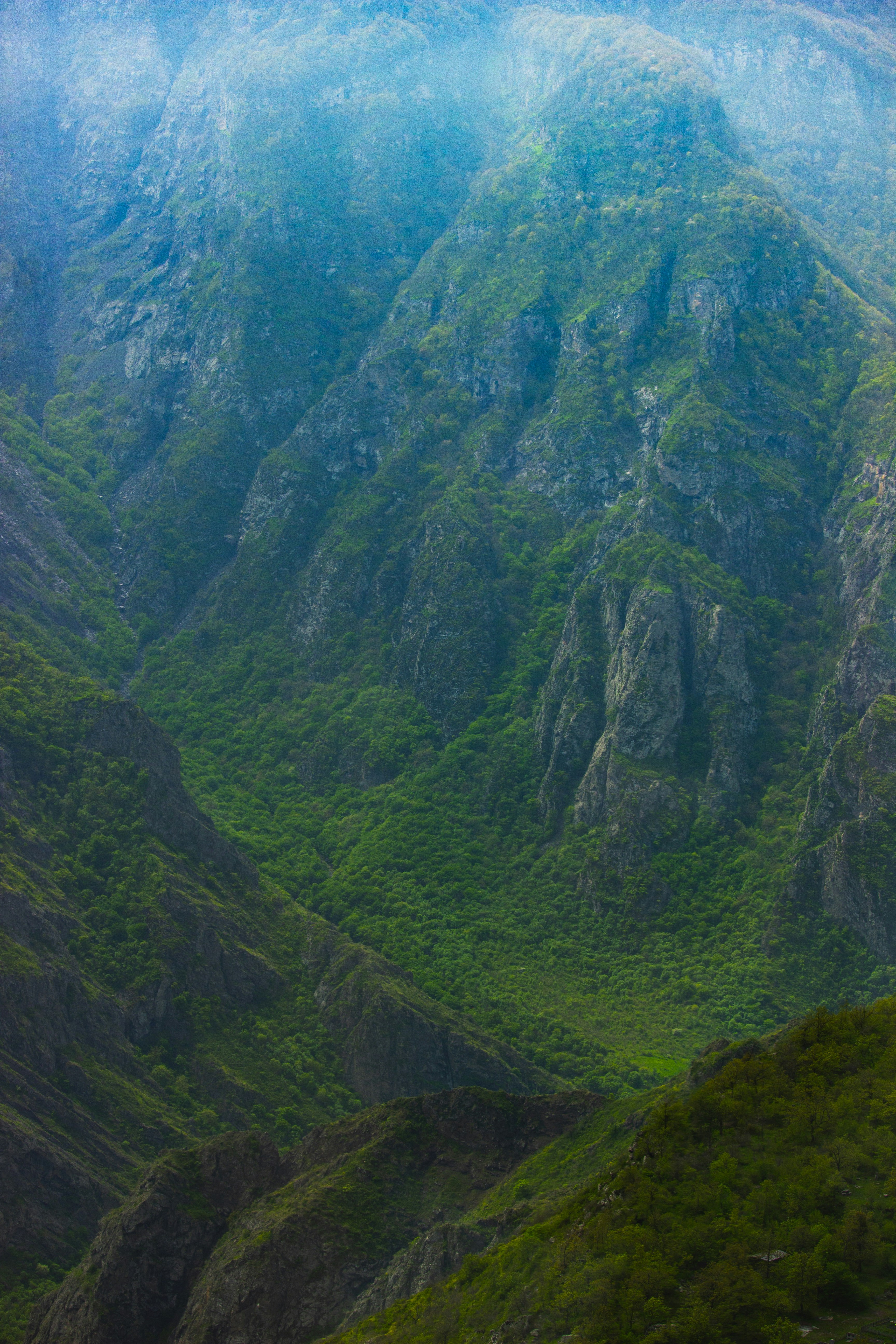 Emerald Rift: A Glimpse into Verdant Canyon Walls