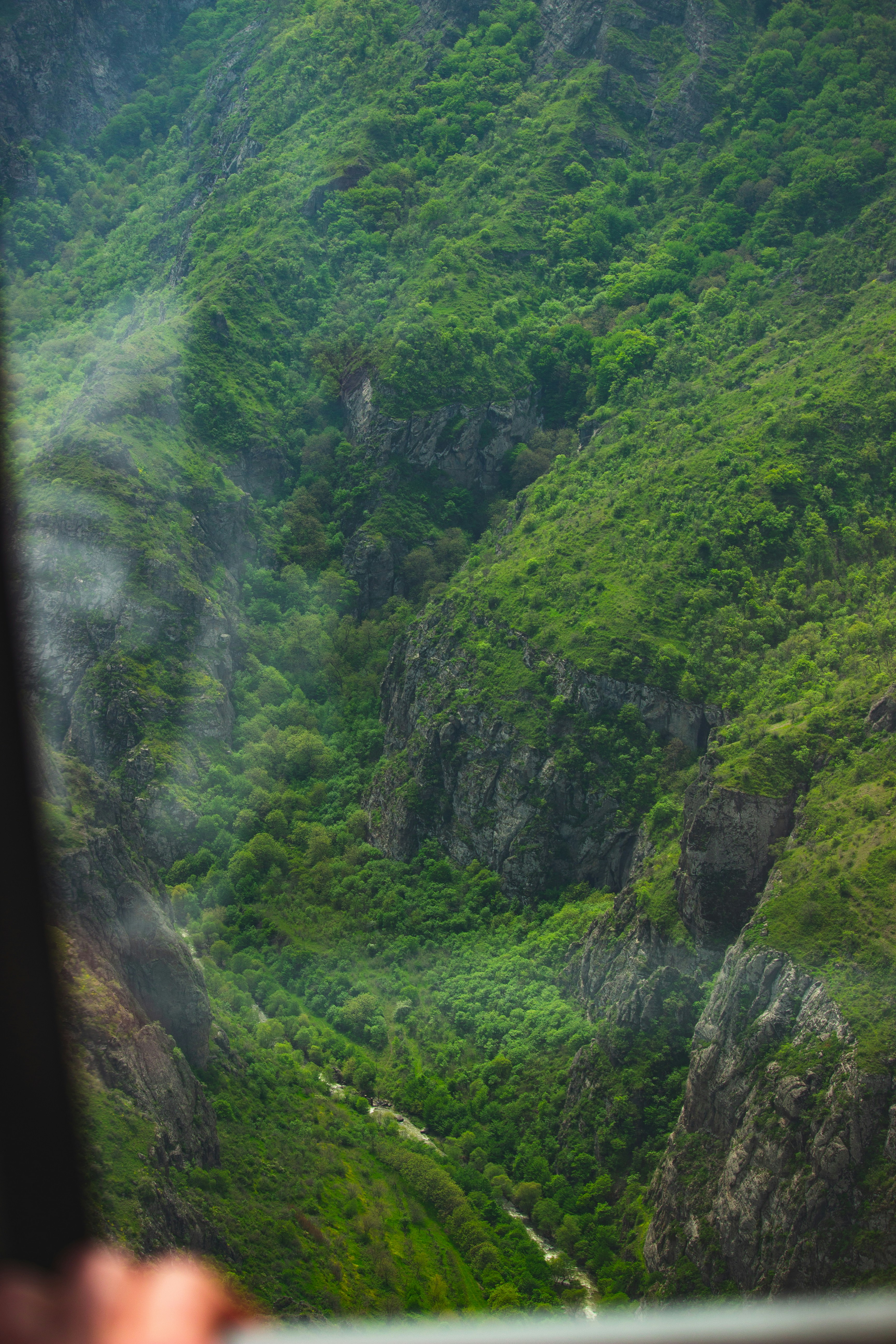 Vertical Crevice Descent: Lush Mountain Gorge from a Window View