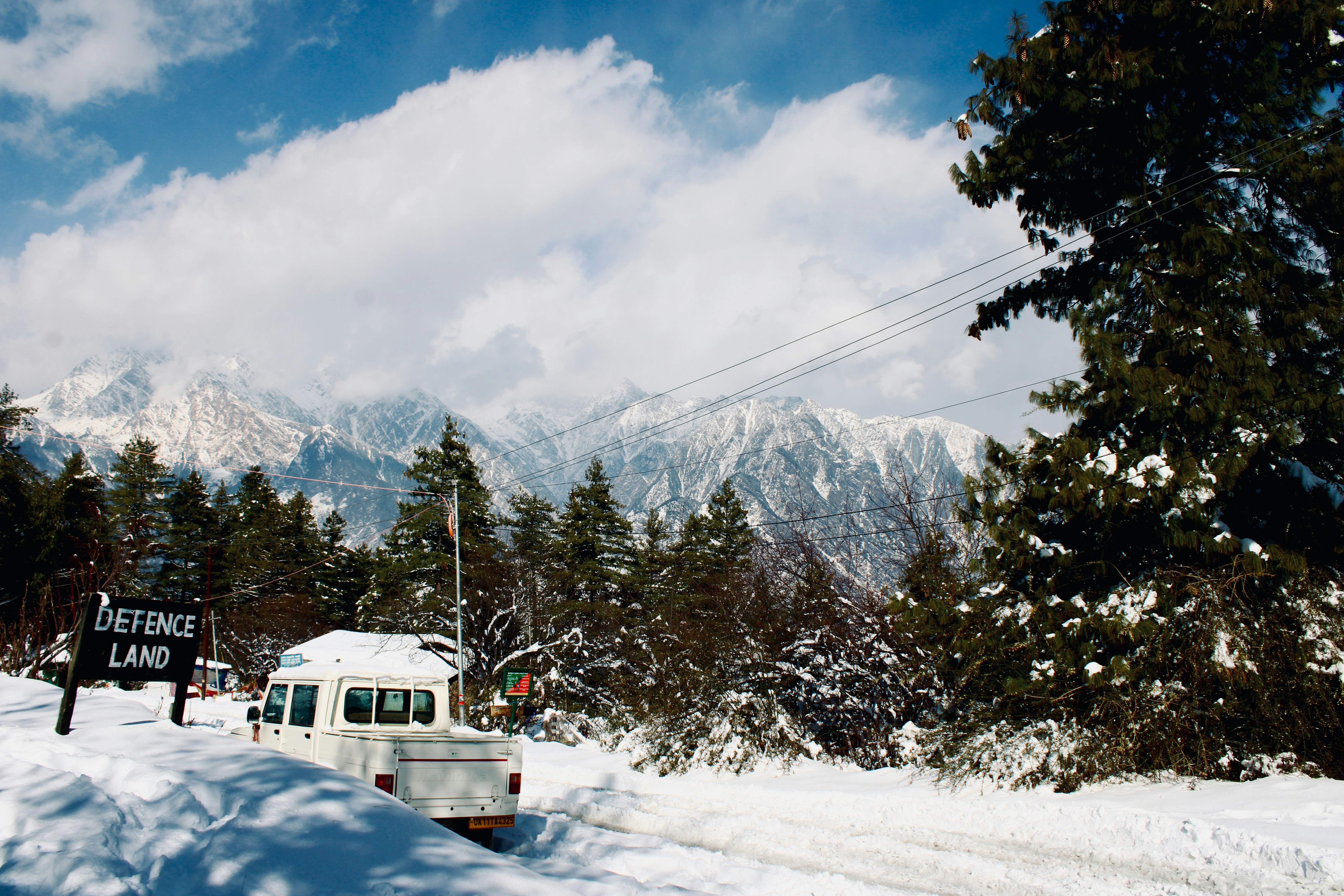 Snowbound Frontier: A Forest Road to the Quiet Defiance